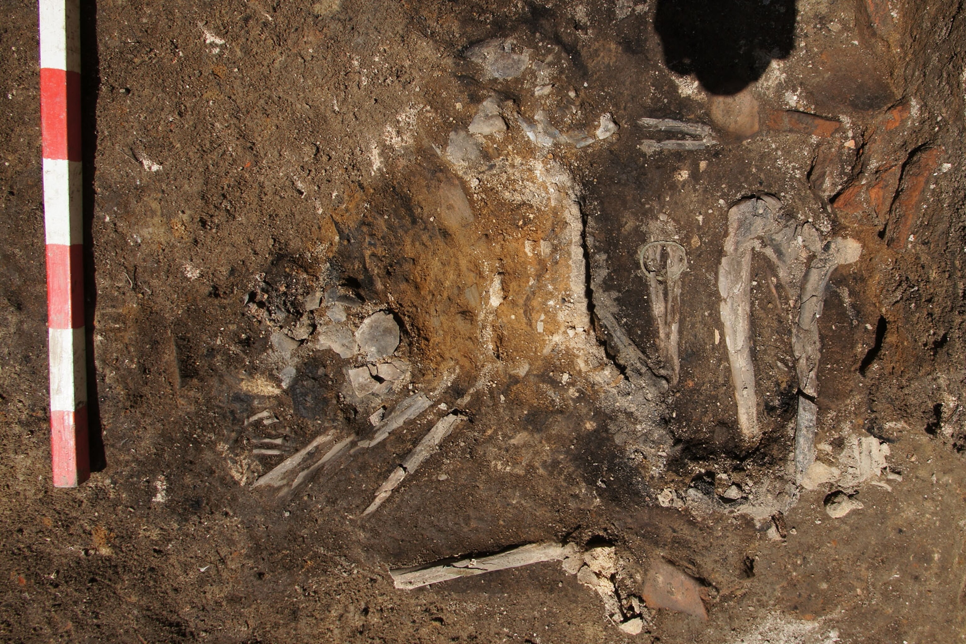 Ancient Skeletons Found in Bulgaria Were Victims of Goth Invasion