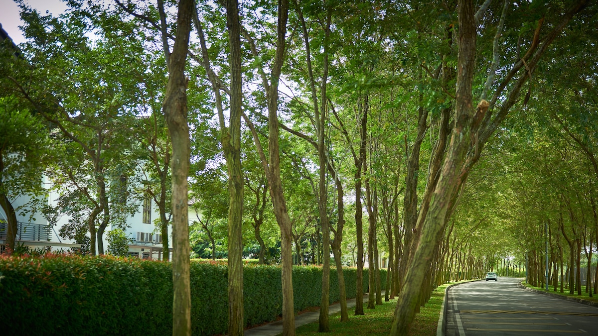 The green wave | National Geographic