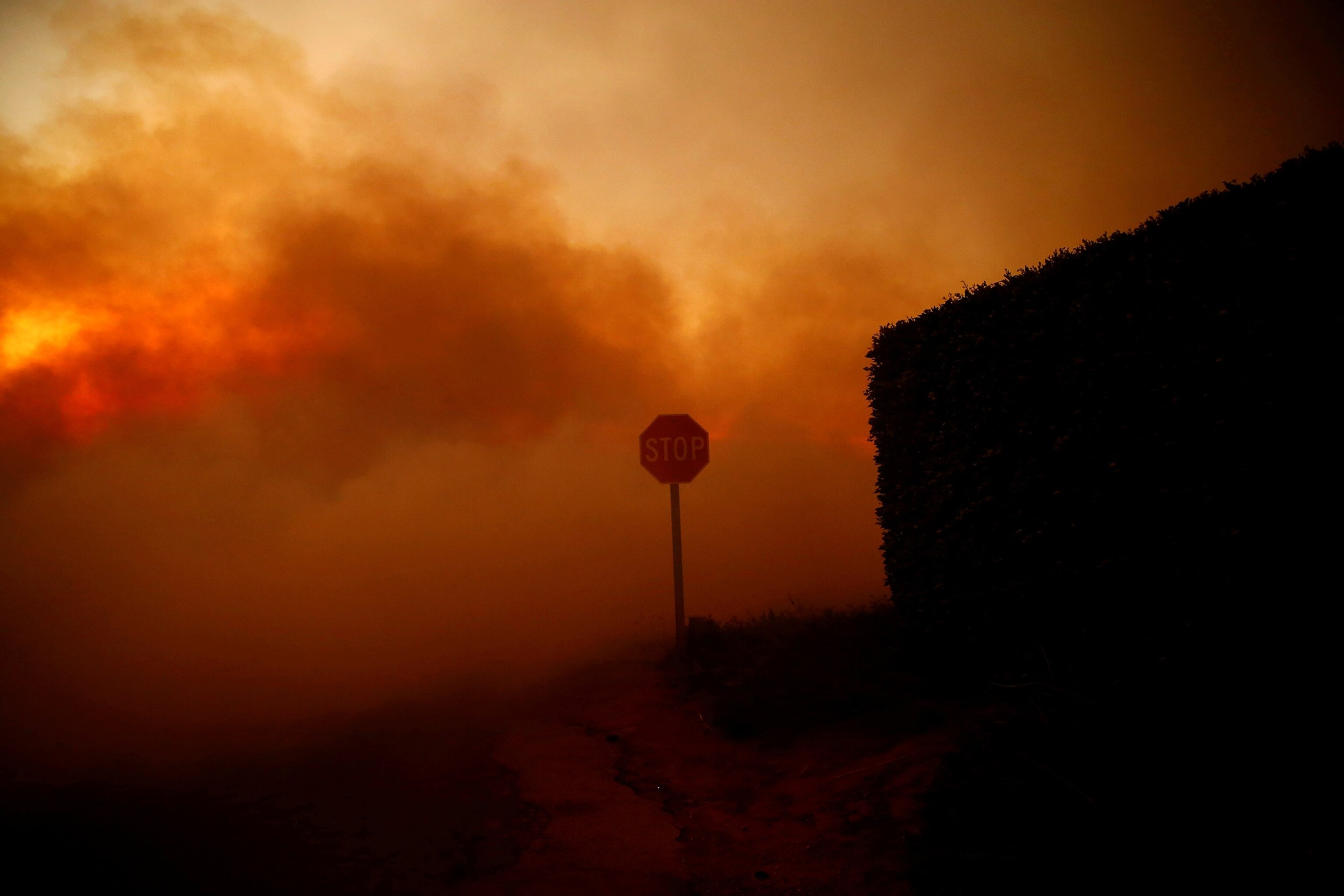 What caused Maui’s wildfires to move shockingly fast? Here’s what we know.