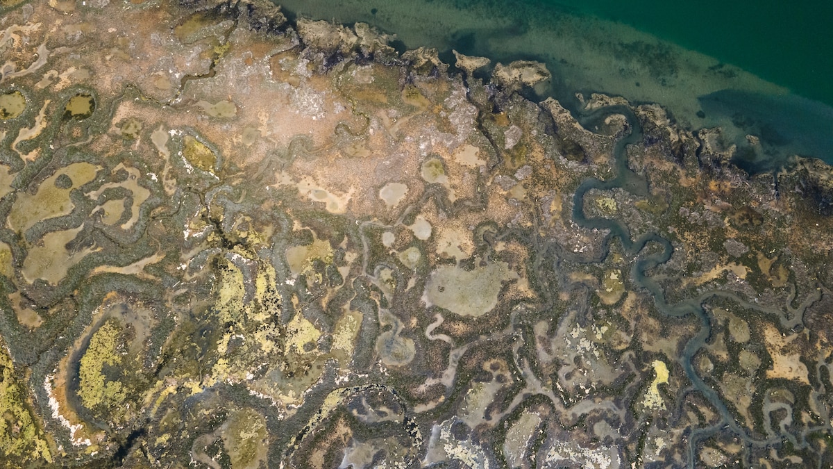 Explore the wilder side of Venice—with the help of its fishermen ...