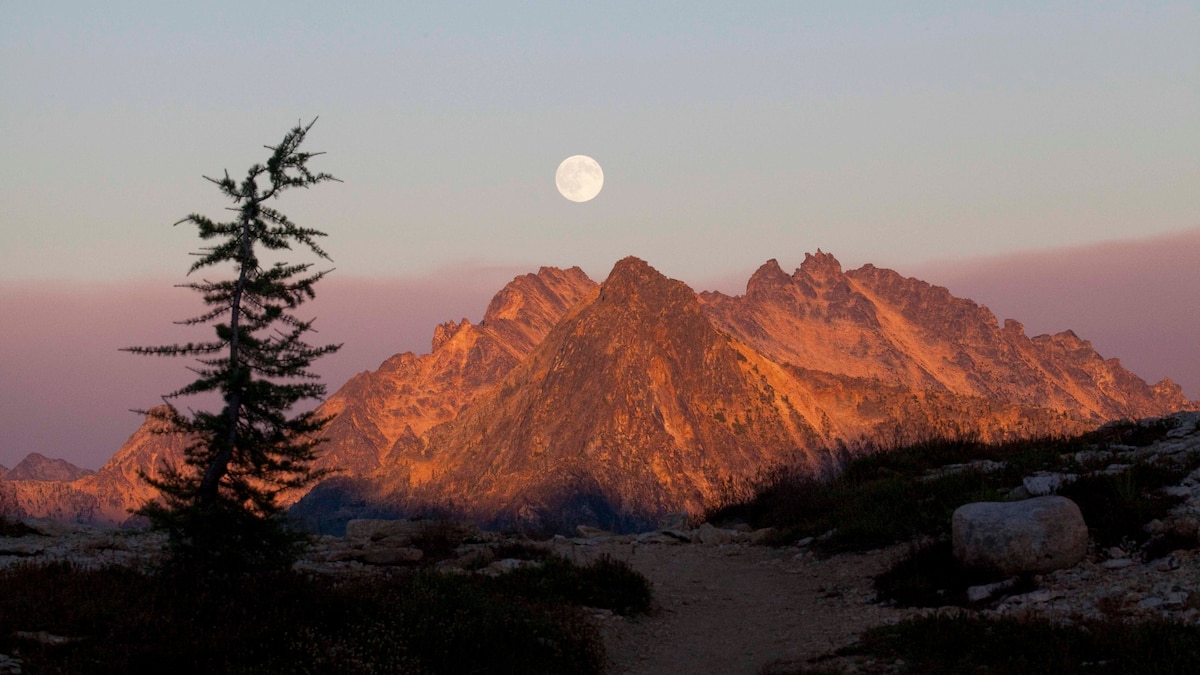 What Happens When Livestock Are in the Path of a Wildfire | National ...