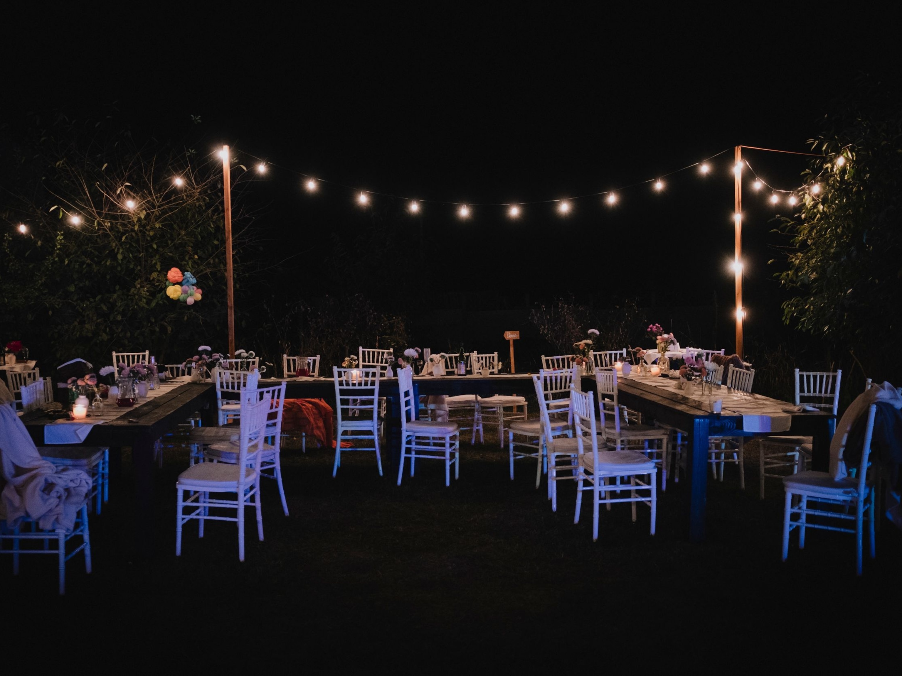 Ancient Horned Crocodile Found—Ate Early Humans?