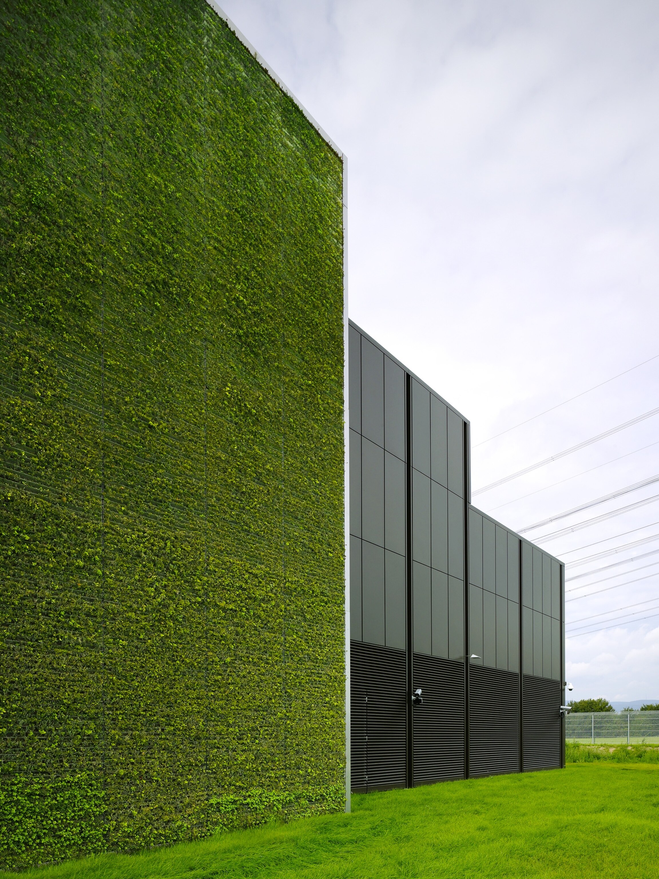 Pictures: Green Walls May Cut Pollution in Cities