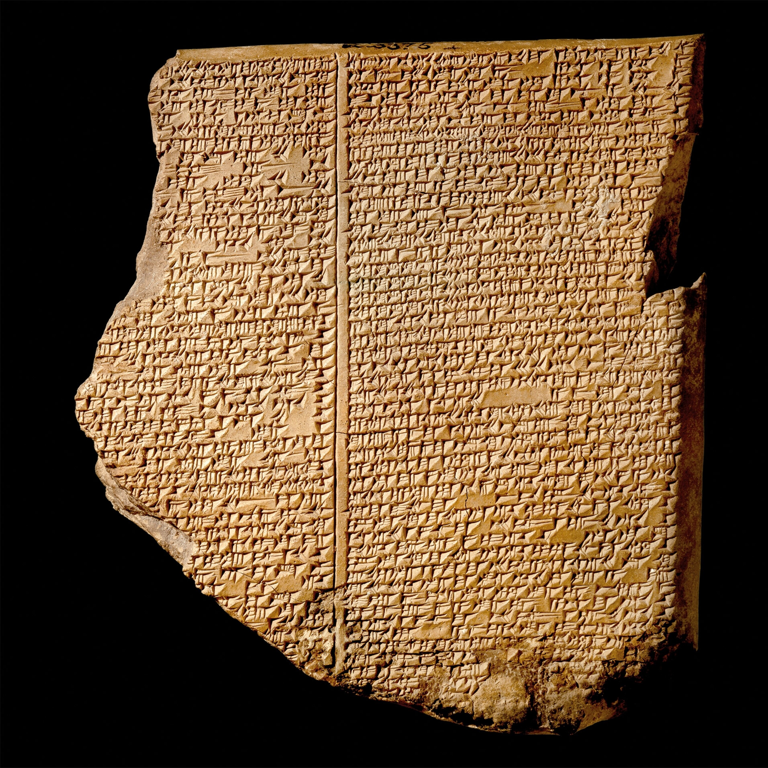 Why this ancient 'King of the World' was so proud of his library