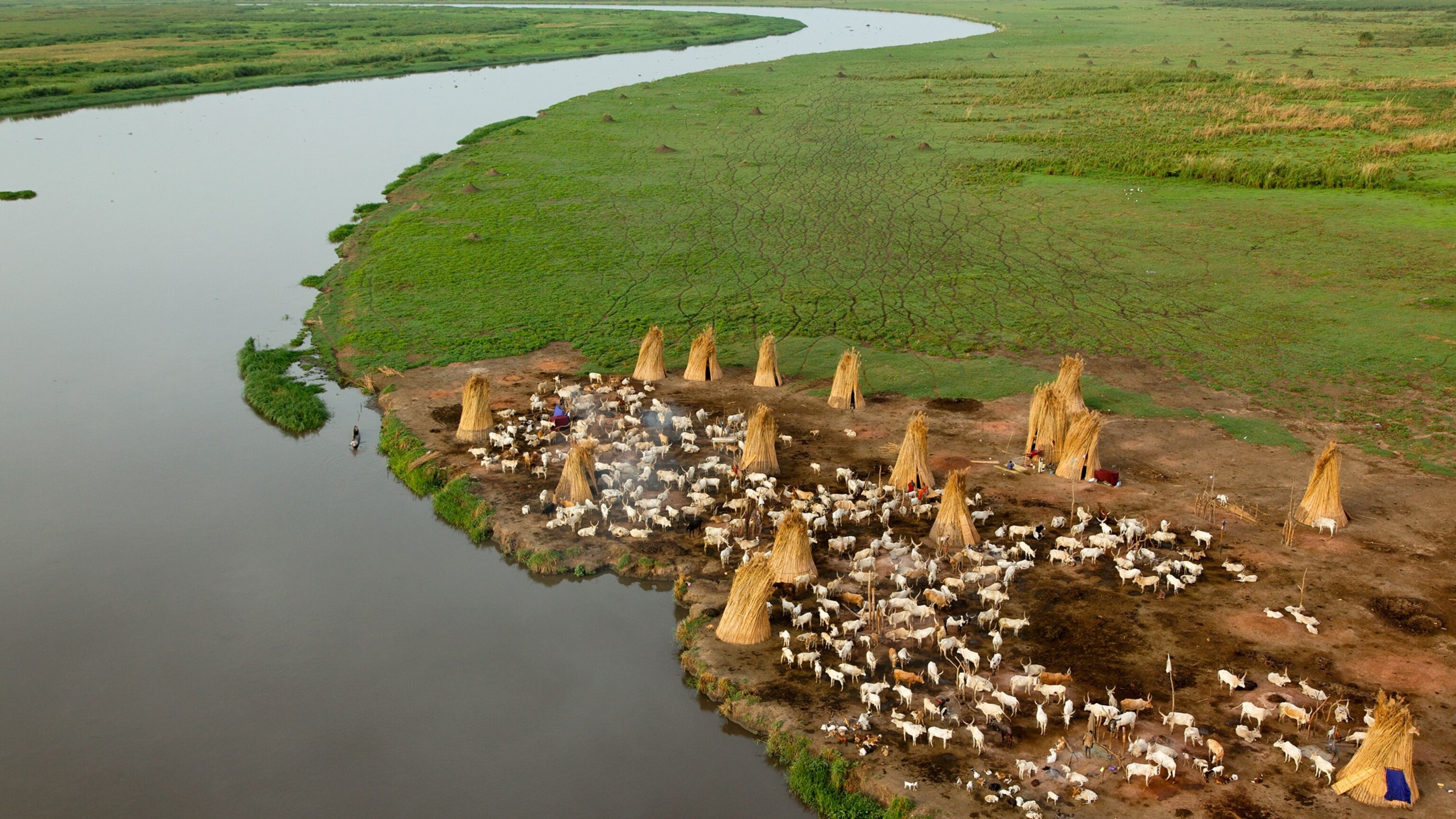 River Nile Birds Eye View