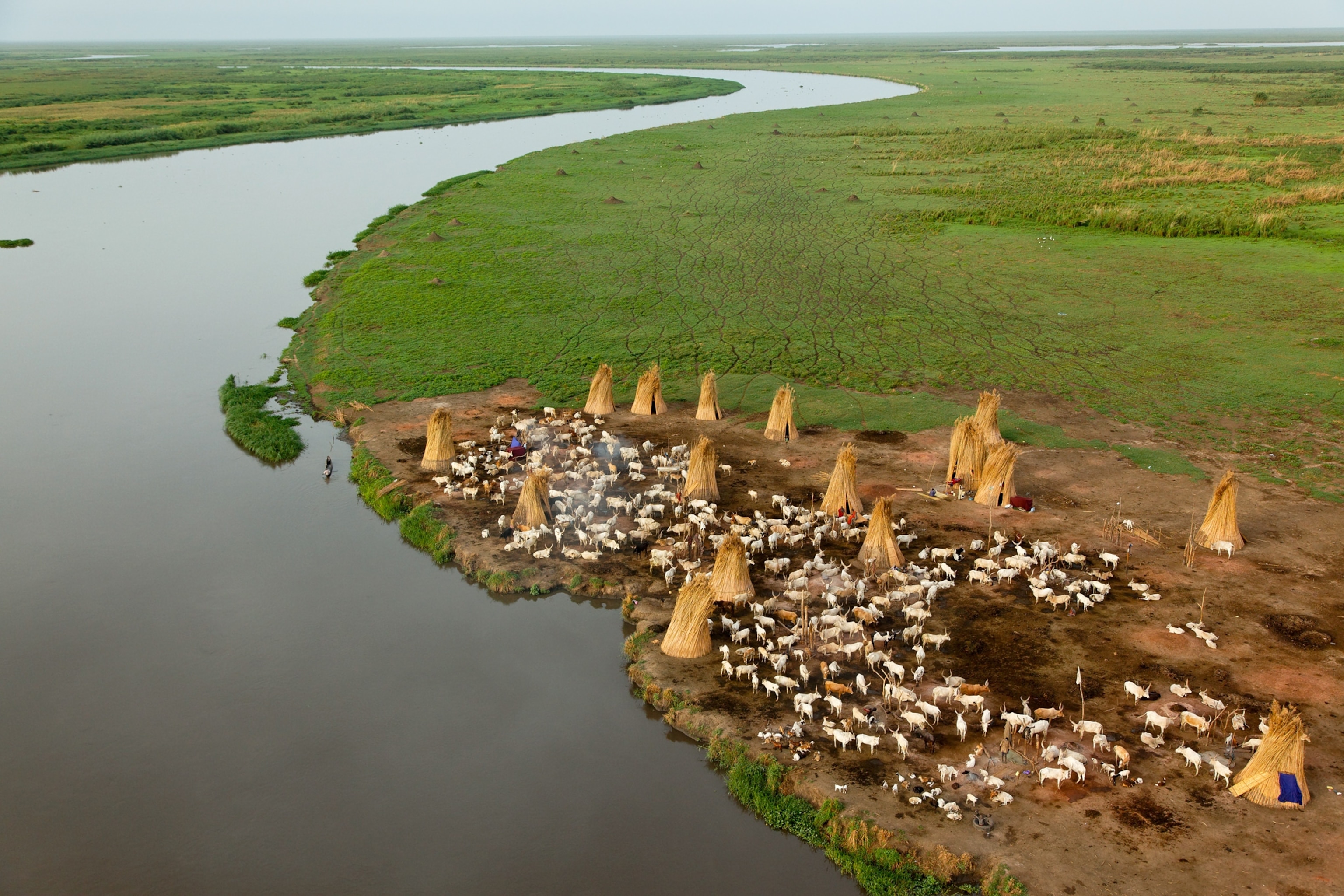 Life-Giving Nile River Pictures - Water Grabbers - National Geographic