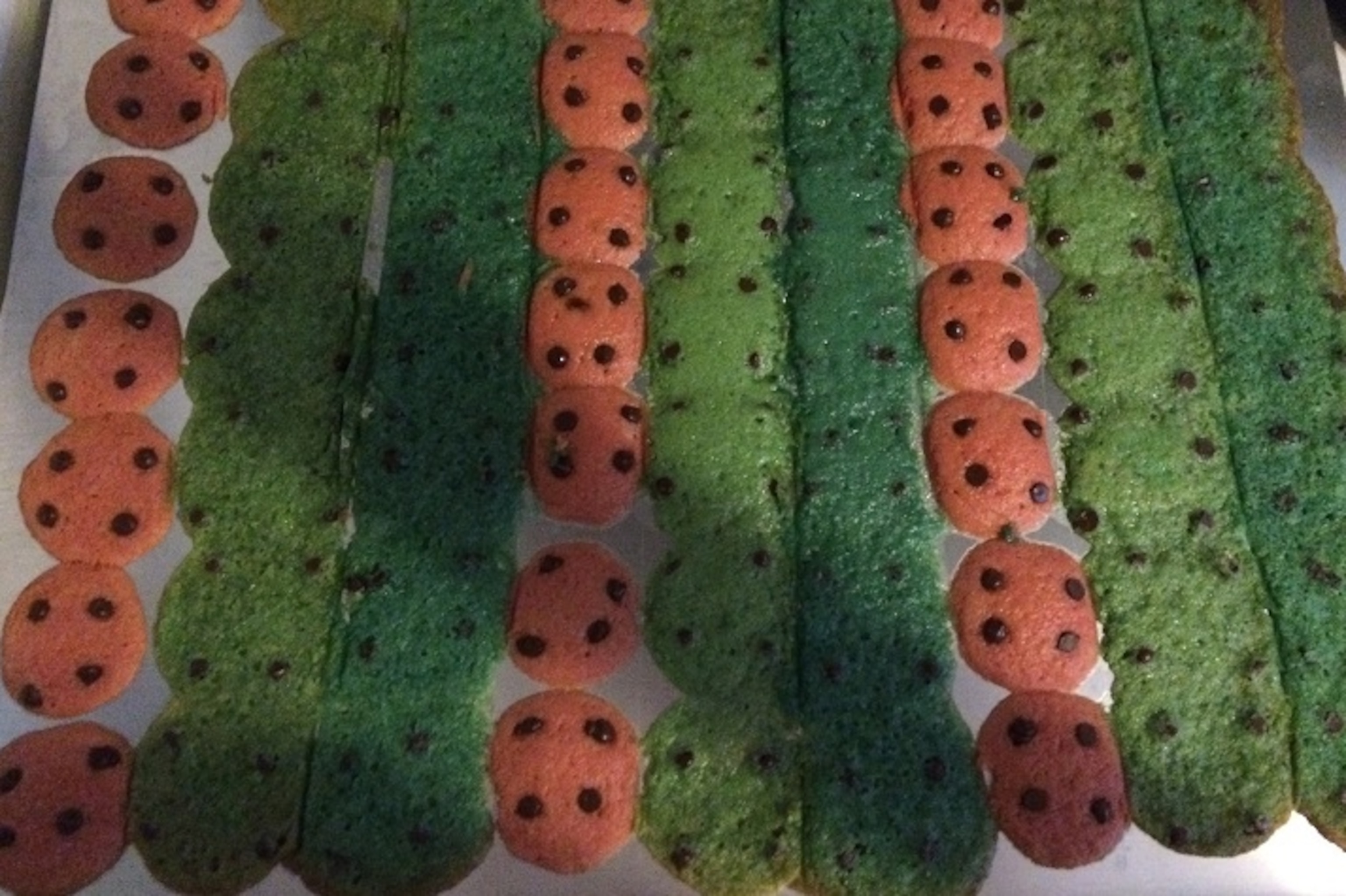 The Experimental Cookie: Teaching Kids Science Through Baking