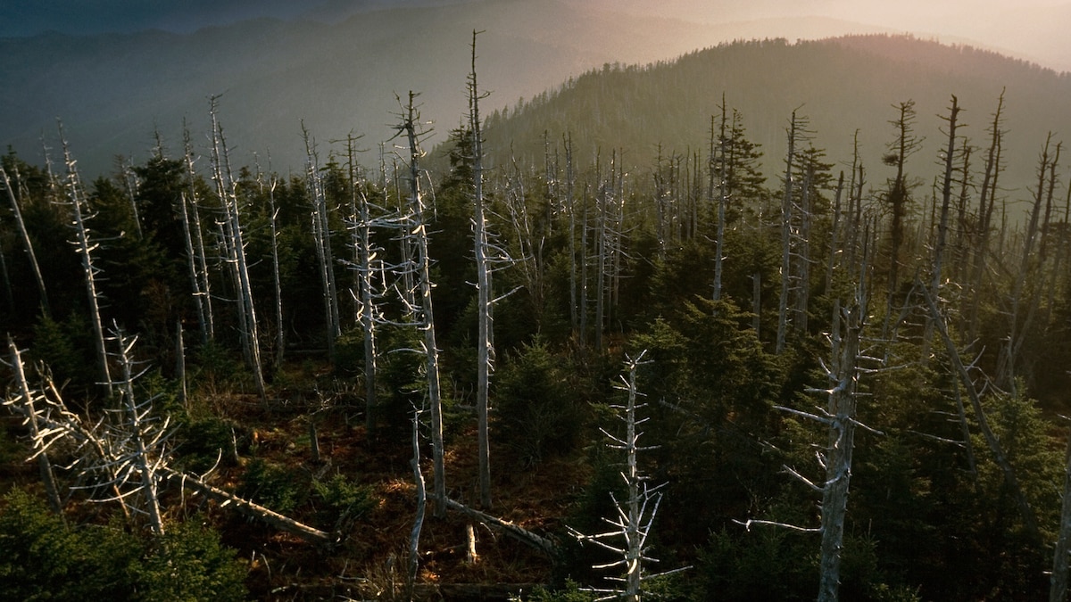 Why are the Appalachian Mountains home to so many supernatural legends ...