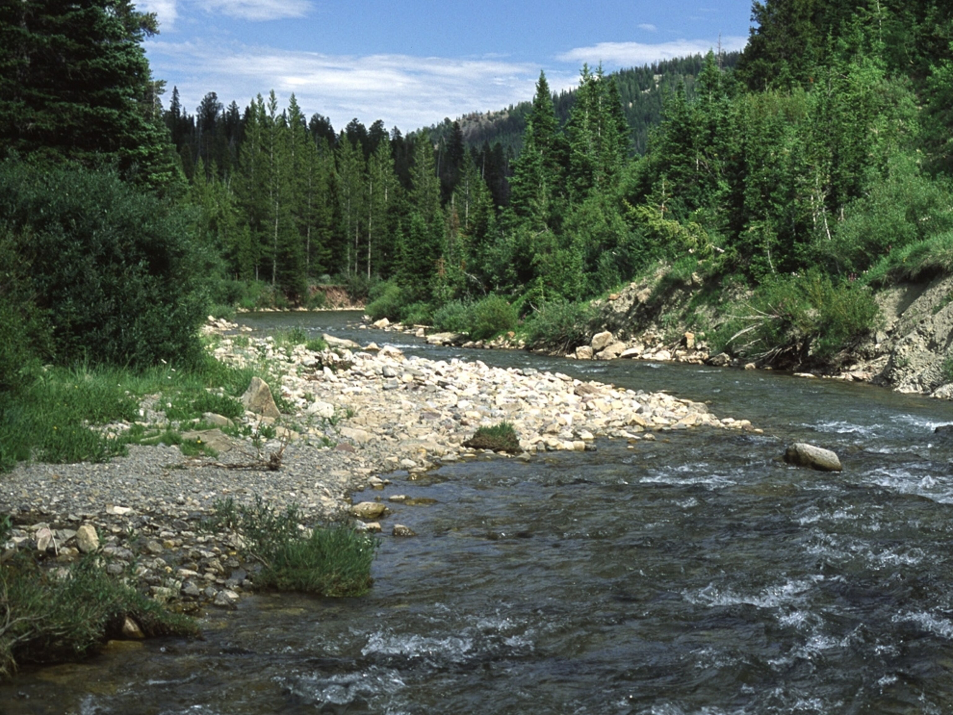 Pictures: America’s Top 10 Endangered Rivers