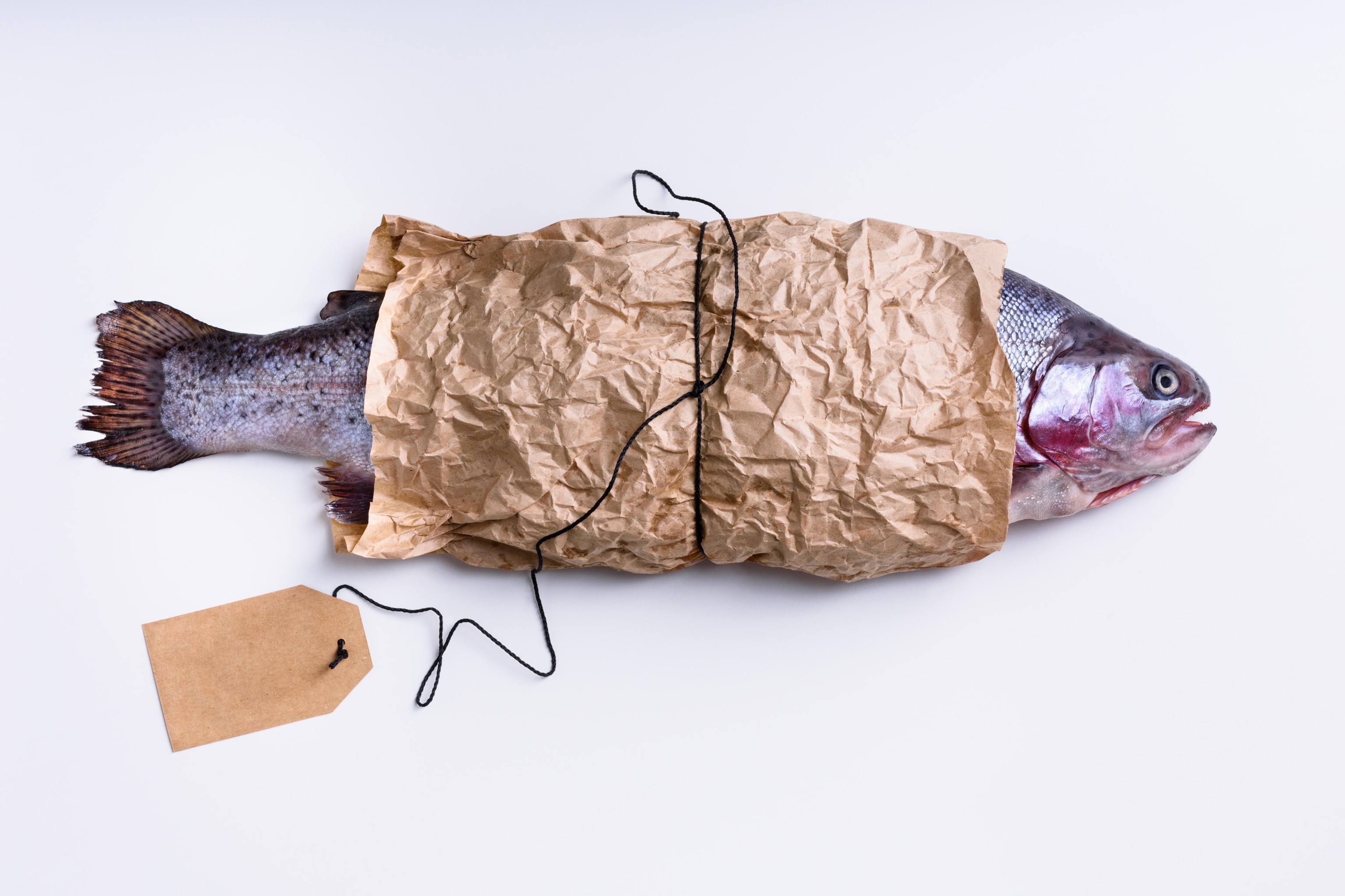Tips to make sure you're buying sustainable salmon