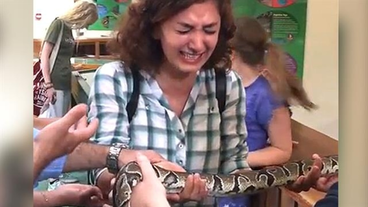 Are We Born Fearing Spiders and Snakes? | National Geographic