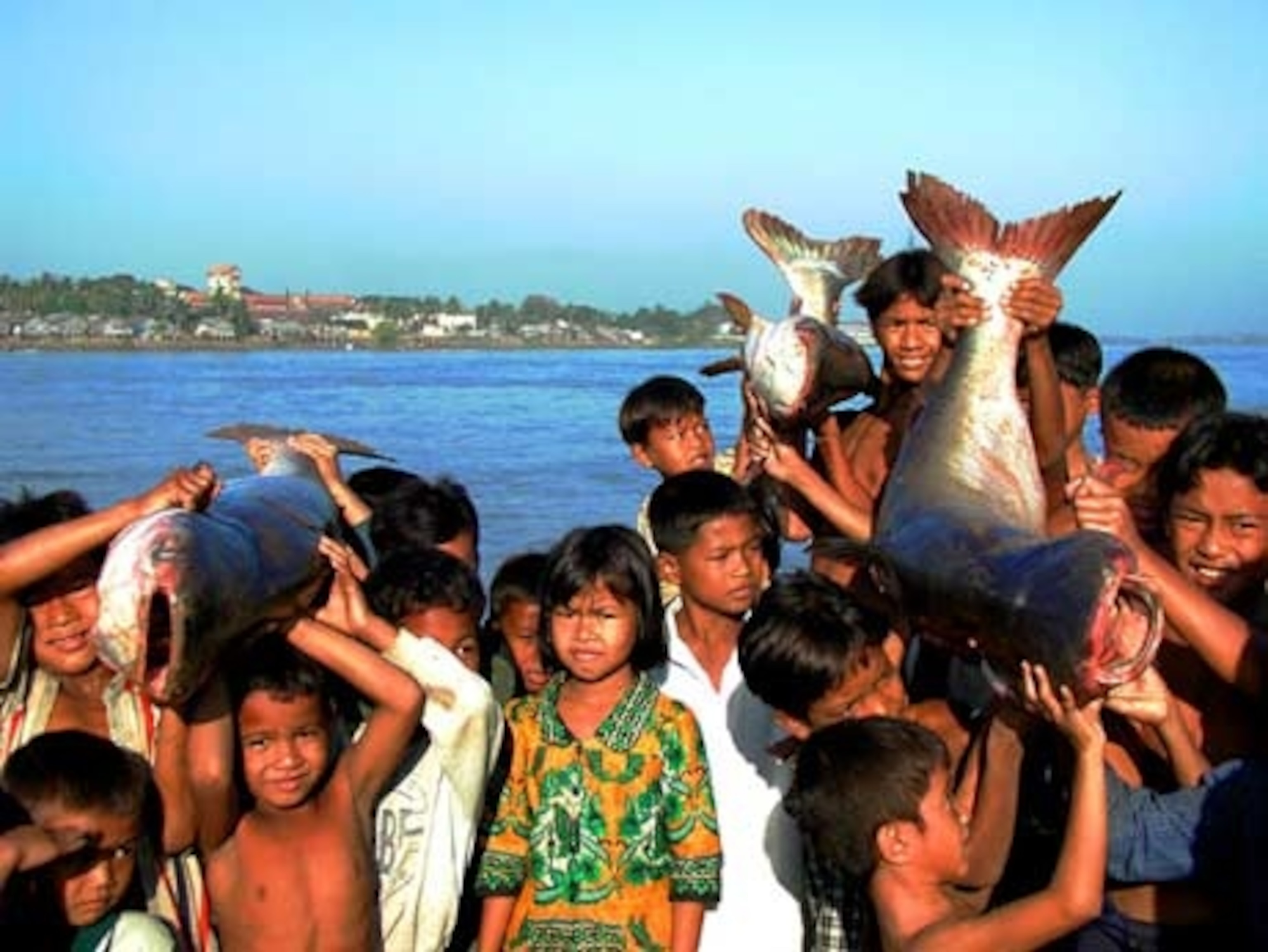 Photos of Mekong Giant Catfish