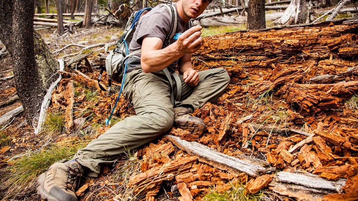 Gregg Treinish, Founder of Adventurers and Scientists for Conservation ...