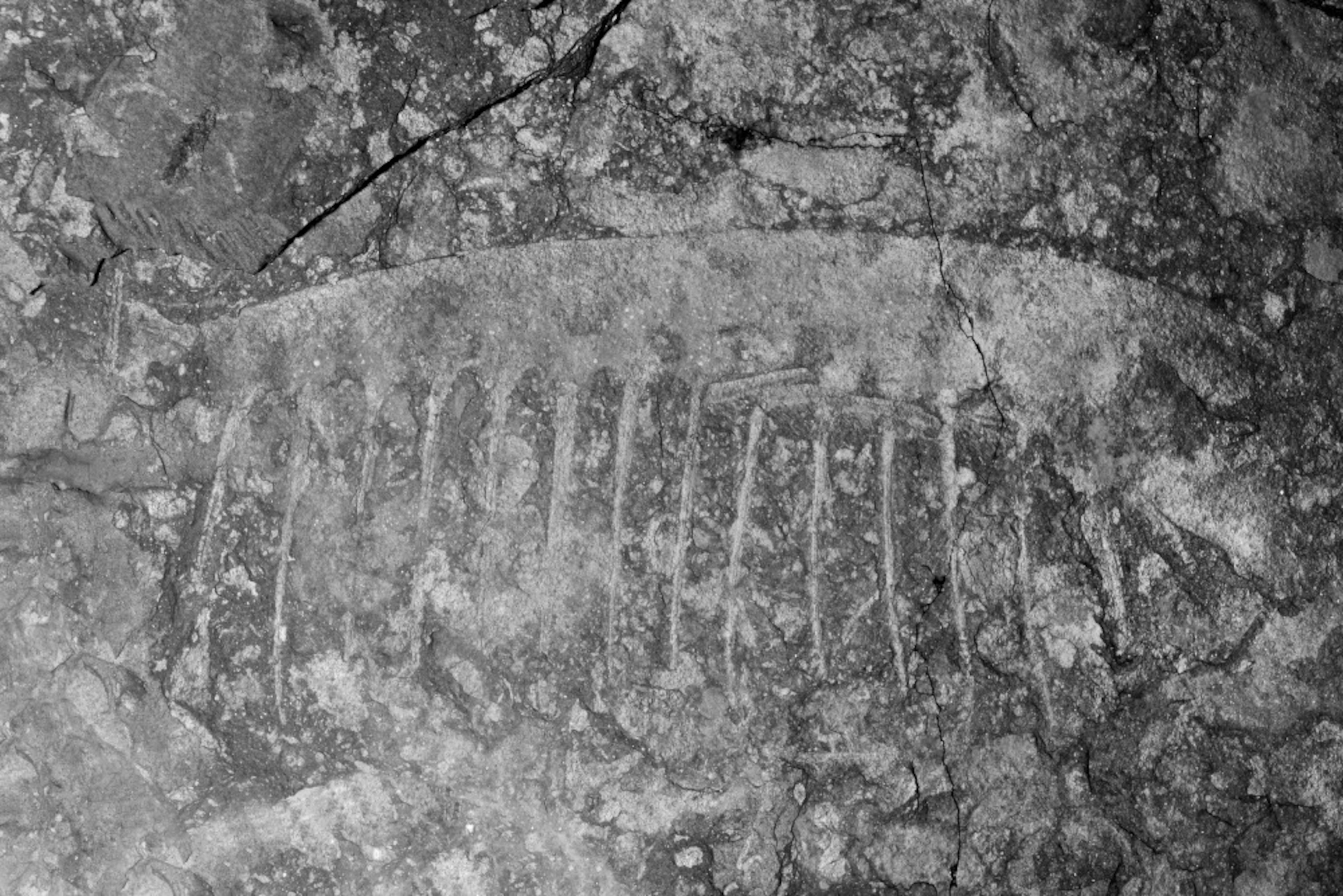 The Long Arm of the Planktivore | National Geographic