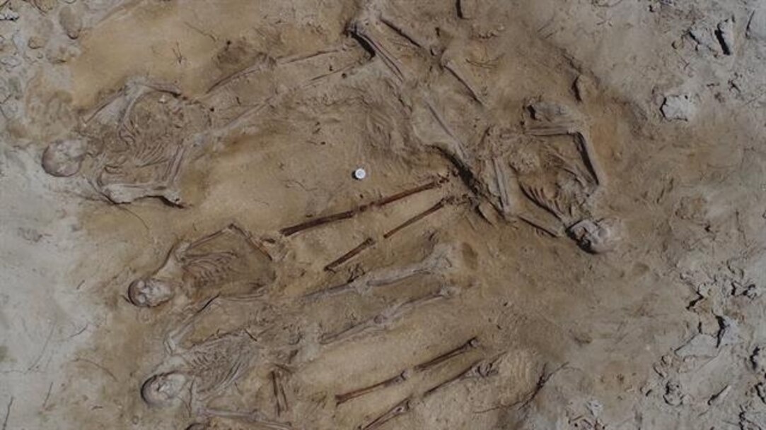 Shipwreck Human Remains