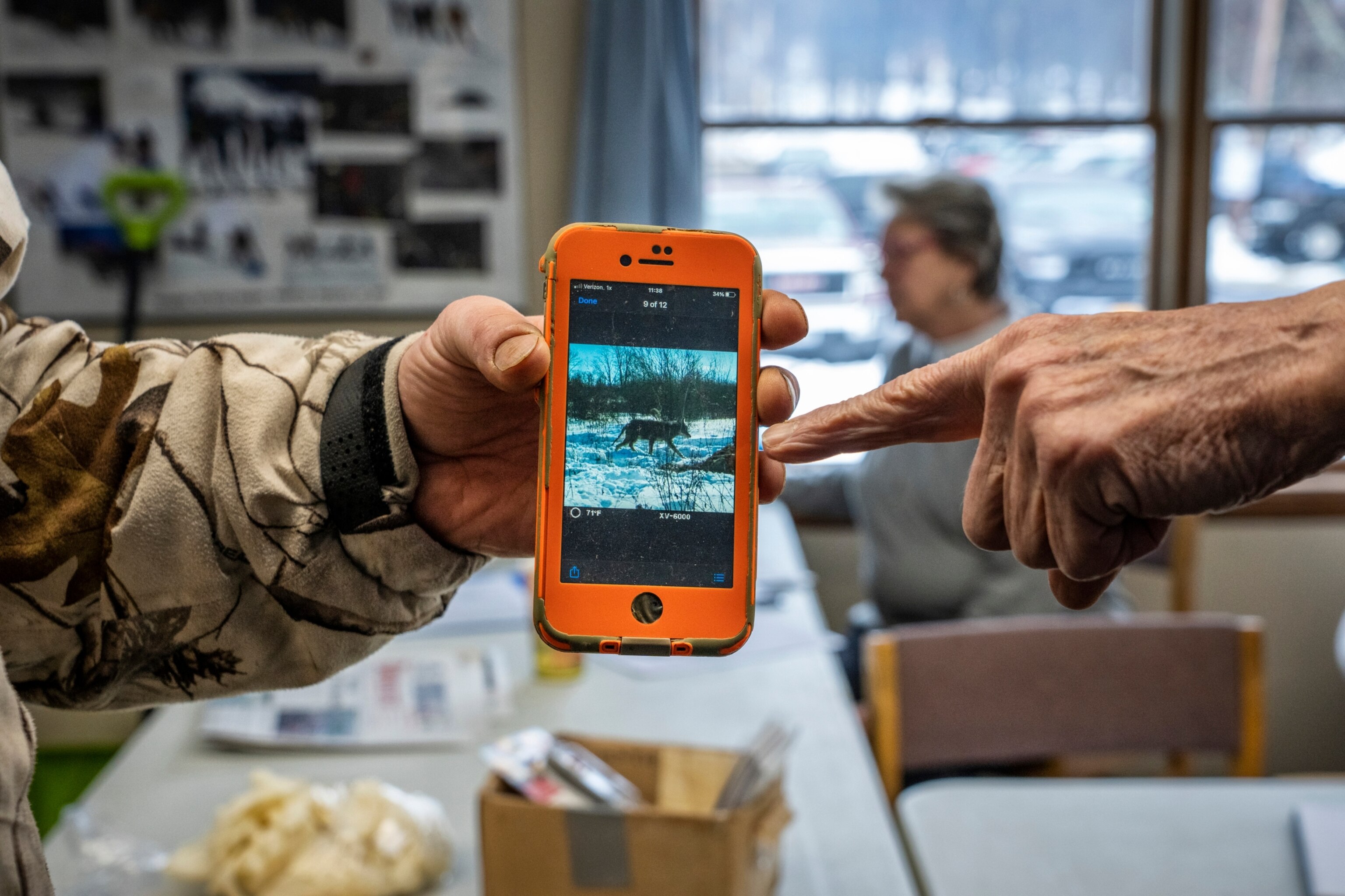 How killing wildlife in the United States became a game