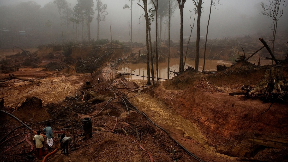 Amazon gold mining drives malaria surges among Indigenous peoples ...