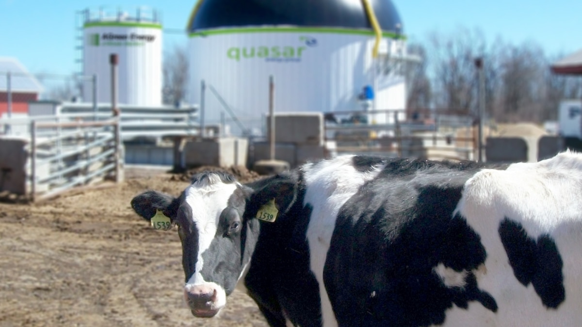 Harnessing the Potential of a Nation’s Leftover Food | National Geographic