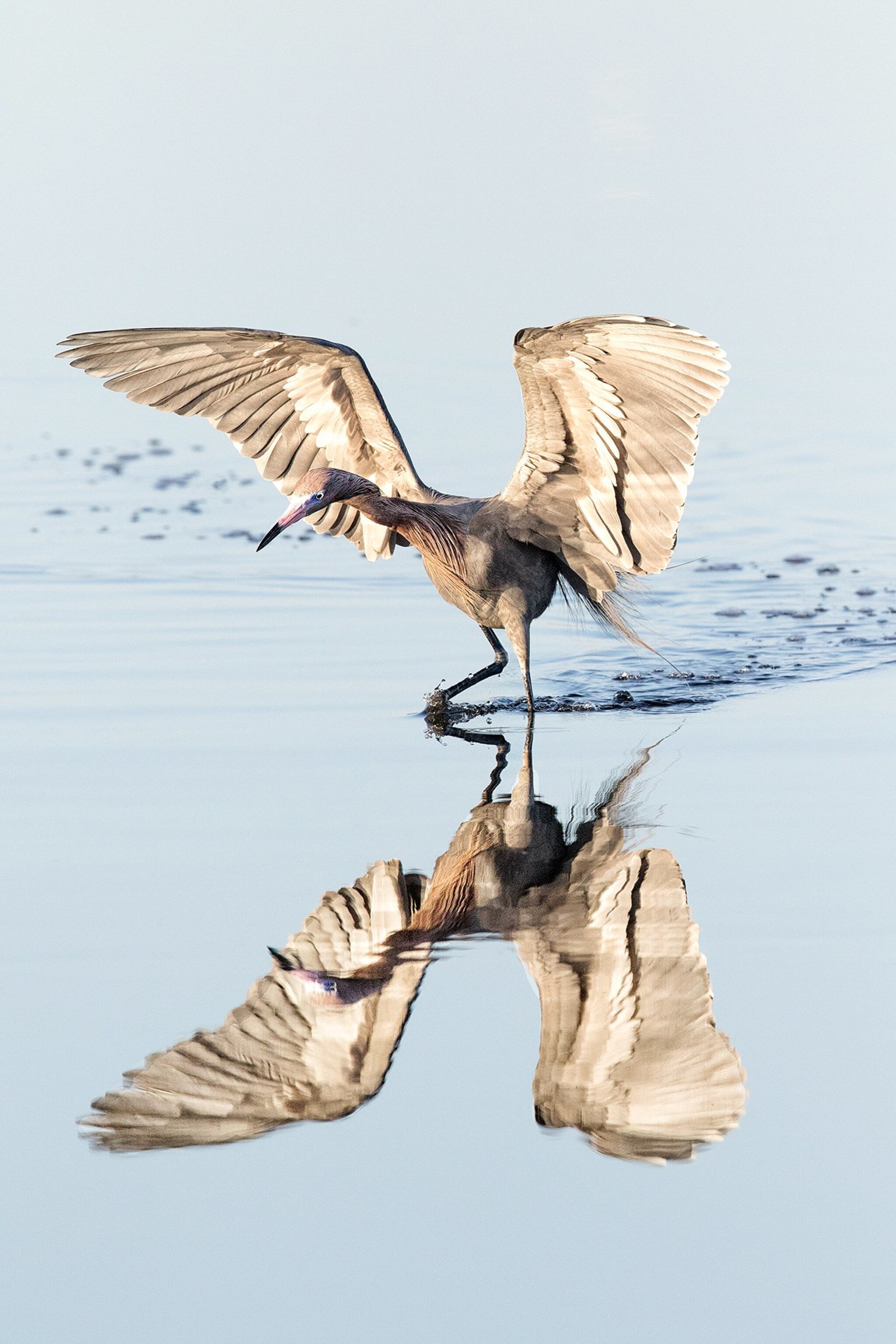 Top 10 wildlife encounters in parks