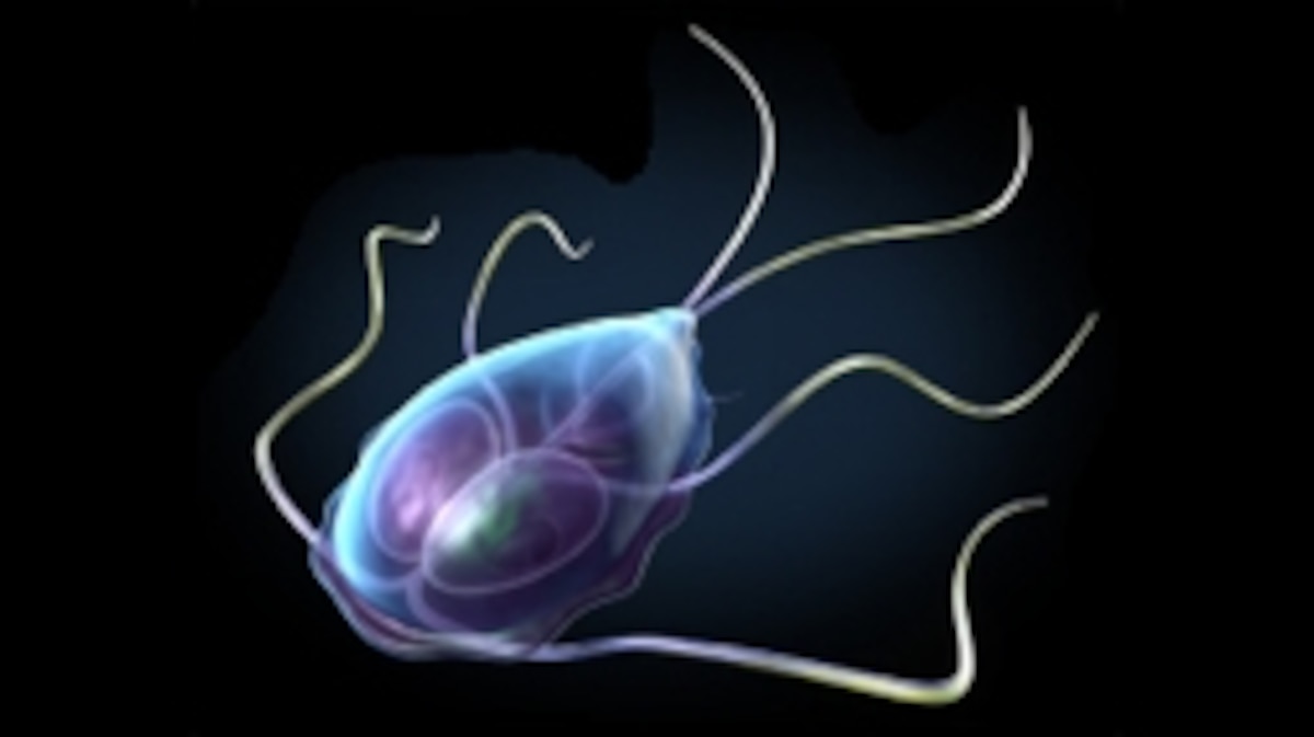 Carrying Ancient History In The Gut | National Geographic