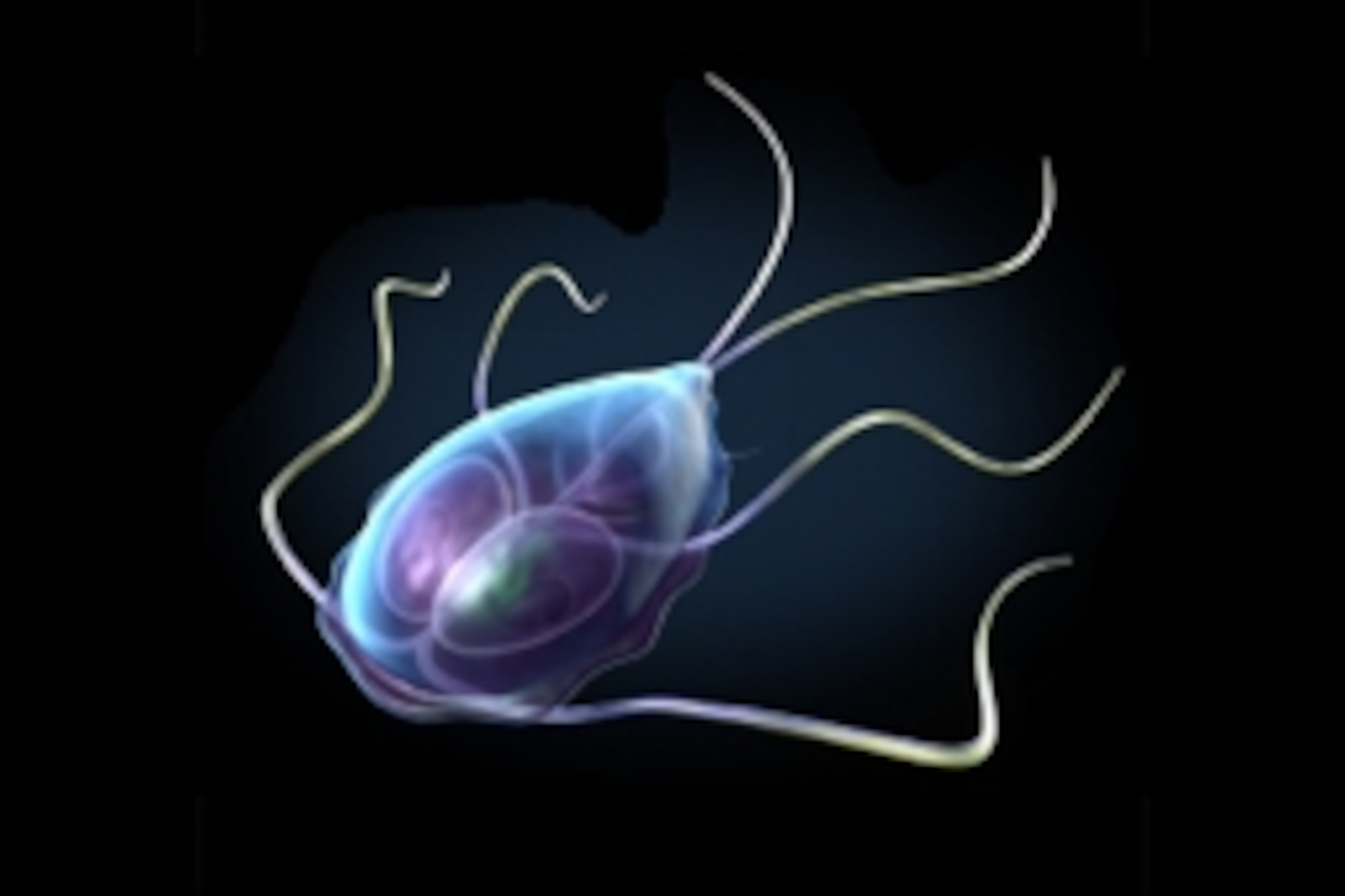 Carrying Ancient History In The Gut