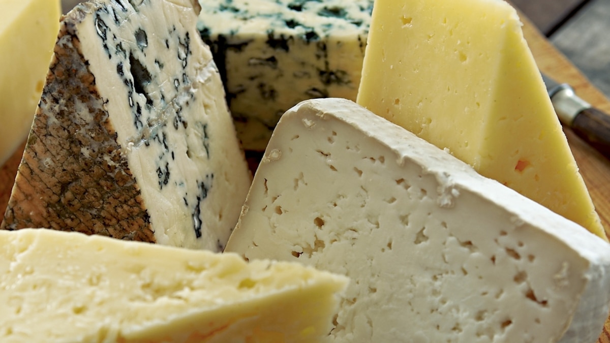 Is Fat Our Friend? | National Geographic