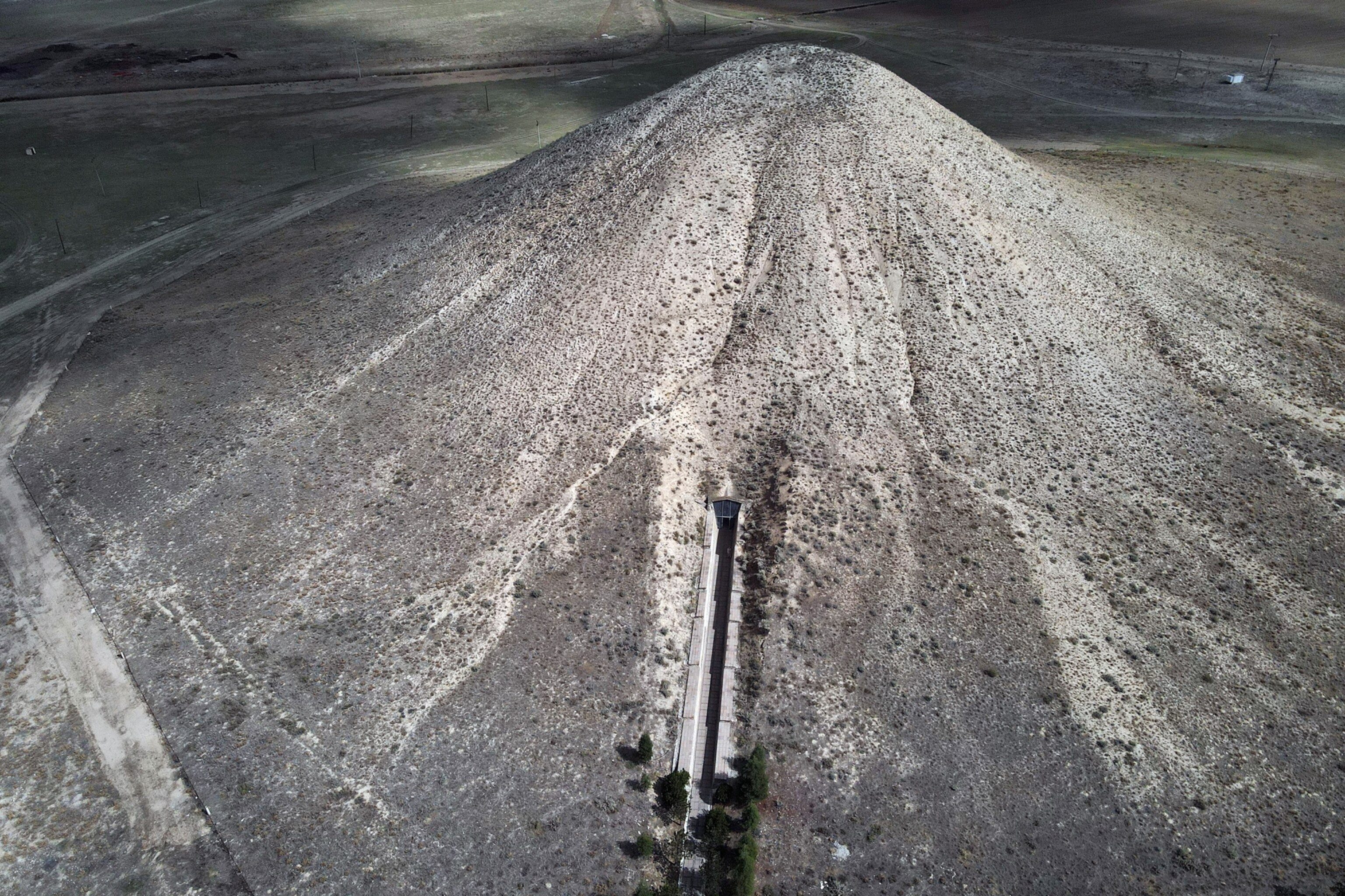 3,200-year-old trees reveal the collapse of an ancient empire