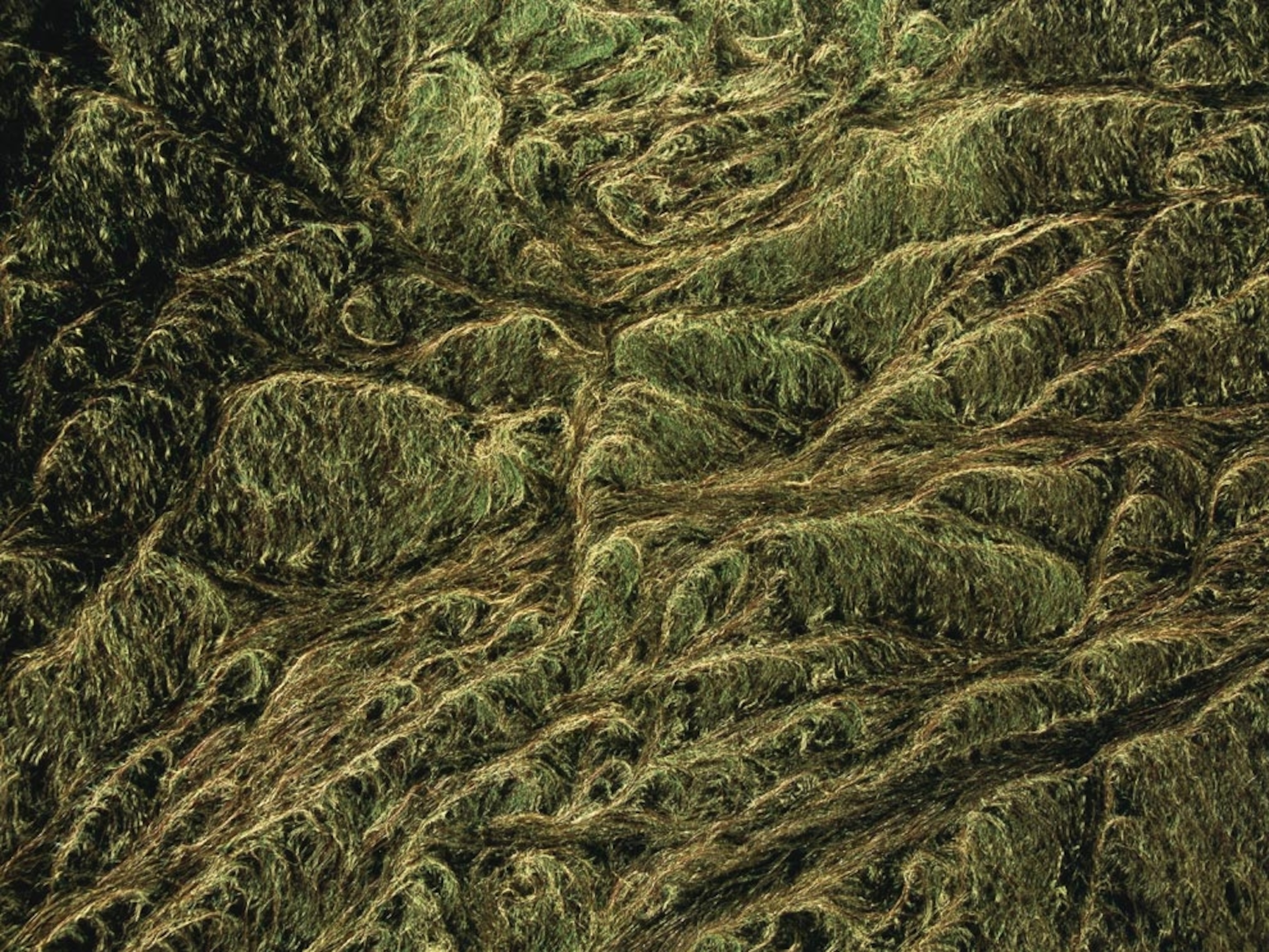 Plains Photos, Plains Photos -- National Geographic