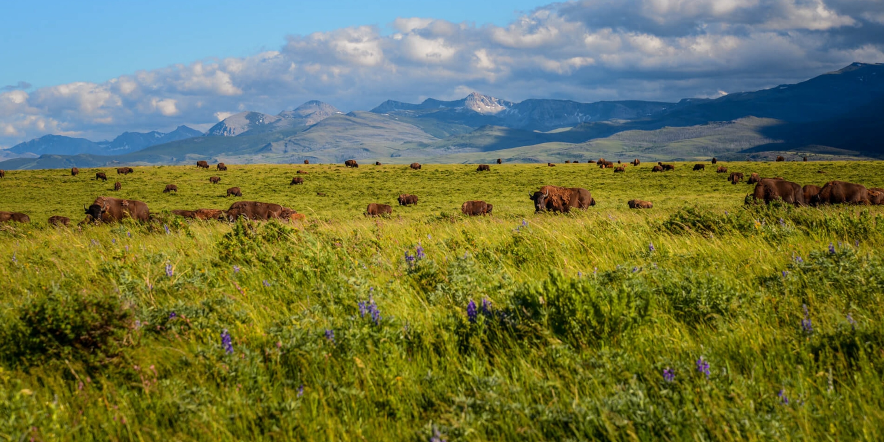See America’s parks with Indigenous peoples who first called them home