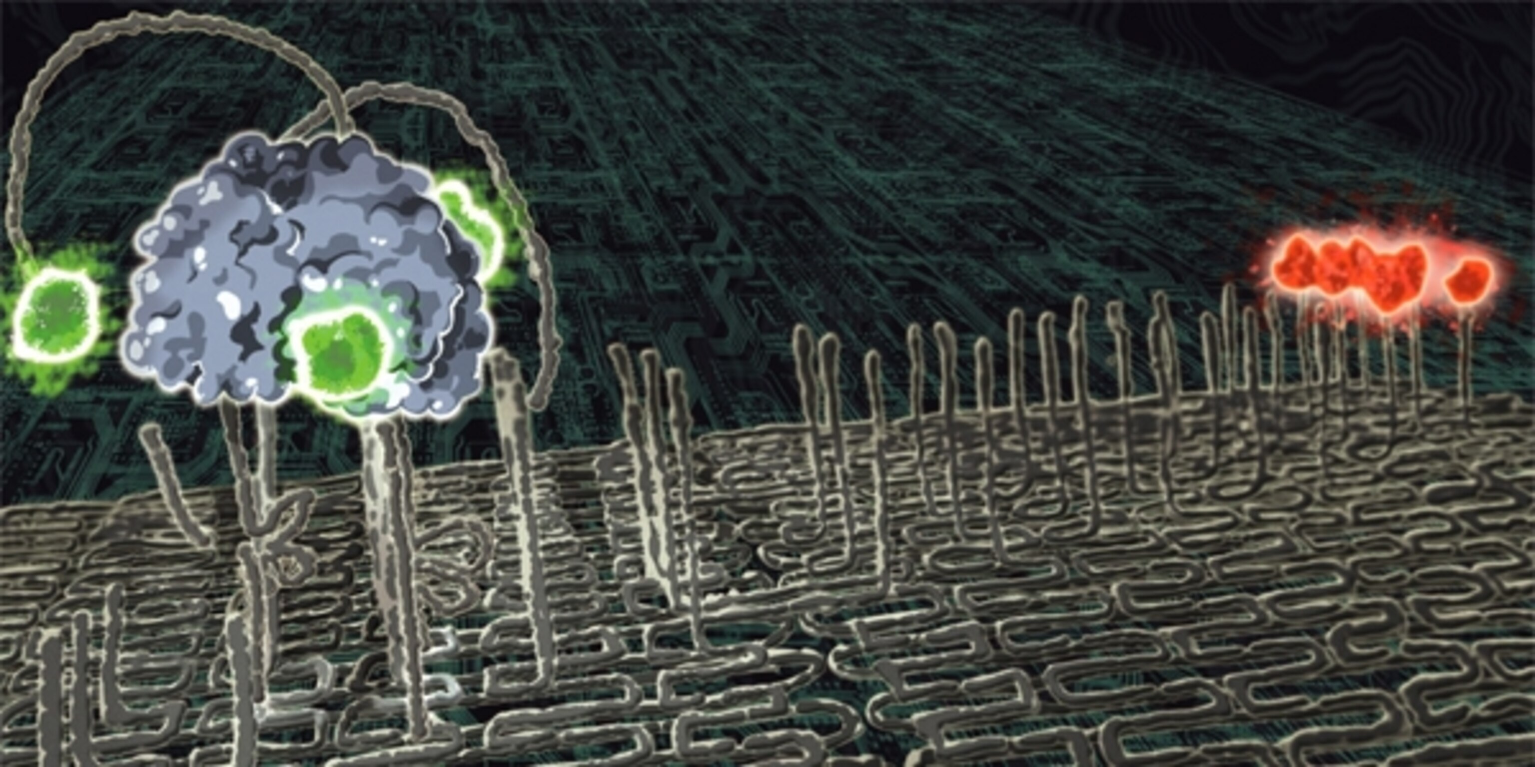 Enter the nano-spiders – independent walking robots made of DNA