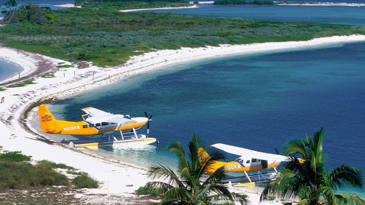 A Guide to Dry Tortugas National Park, Florida | National Geographic