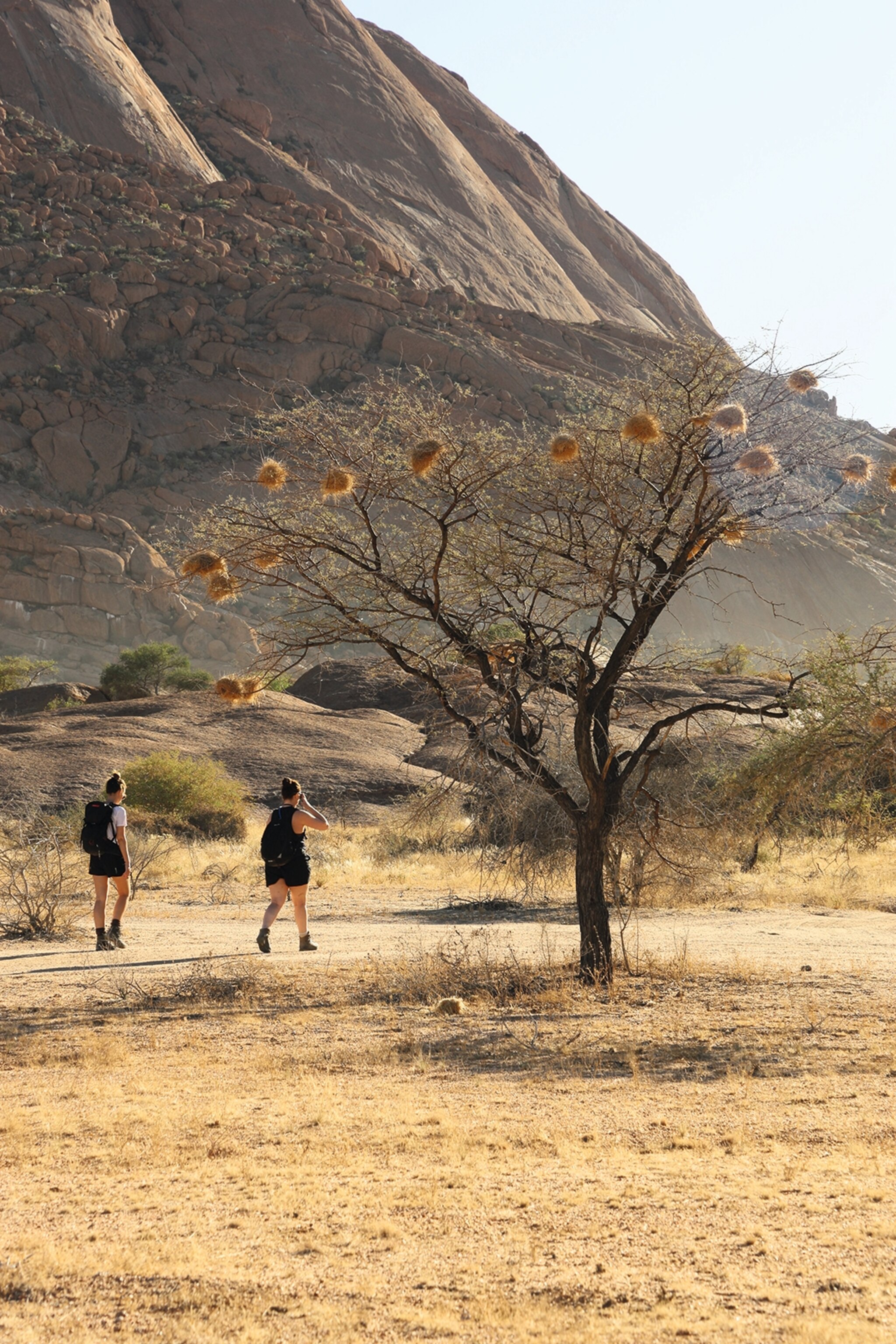 Desert hikes and camping under the stars on a budget safari in Namibia