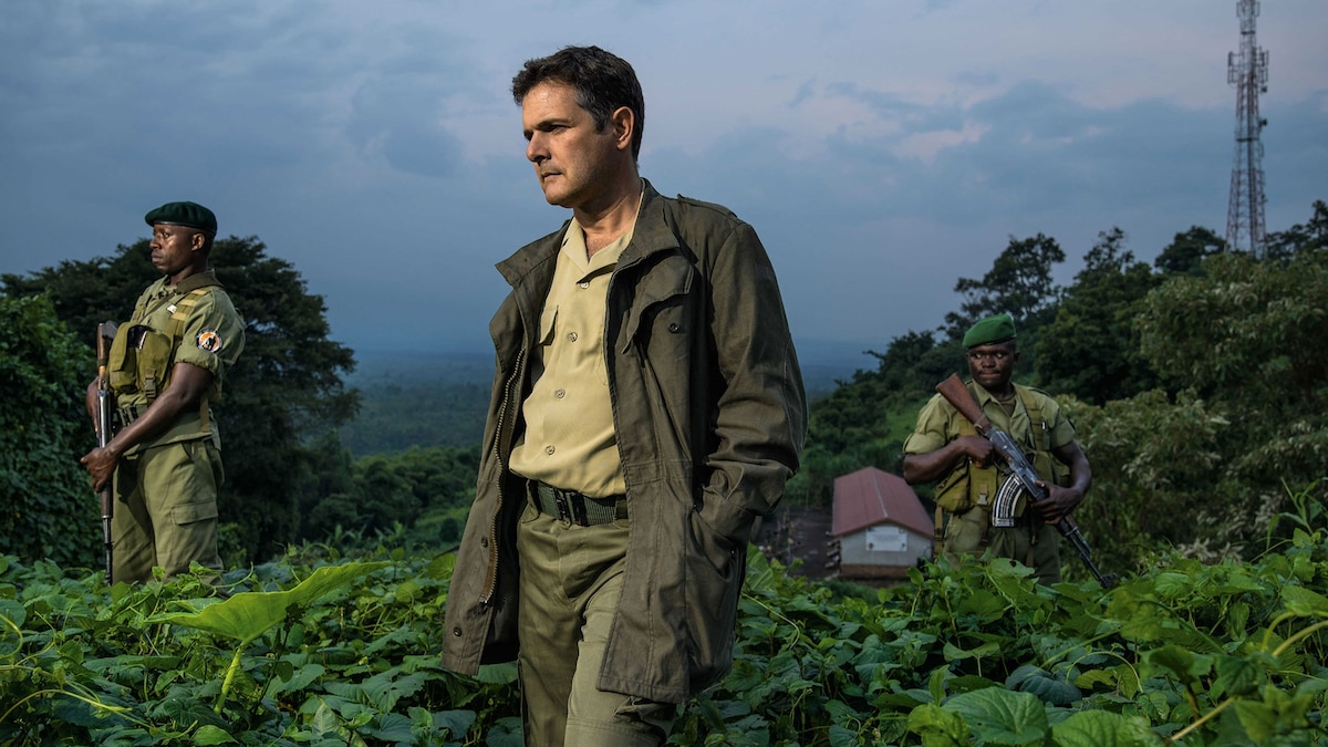 Virunga National Park Sees Its Worst Violence Against Rangers in a ...