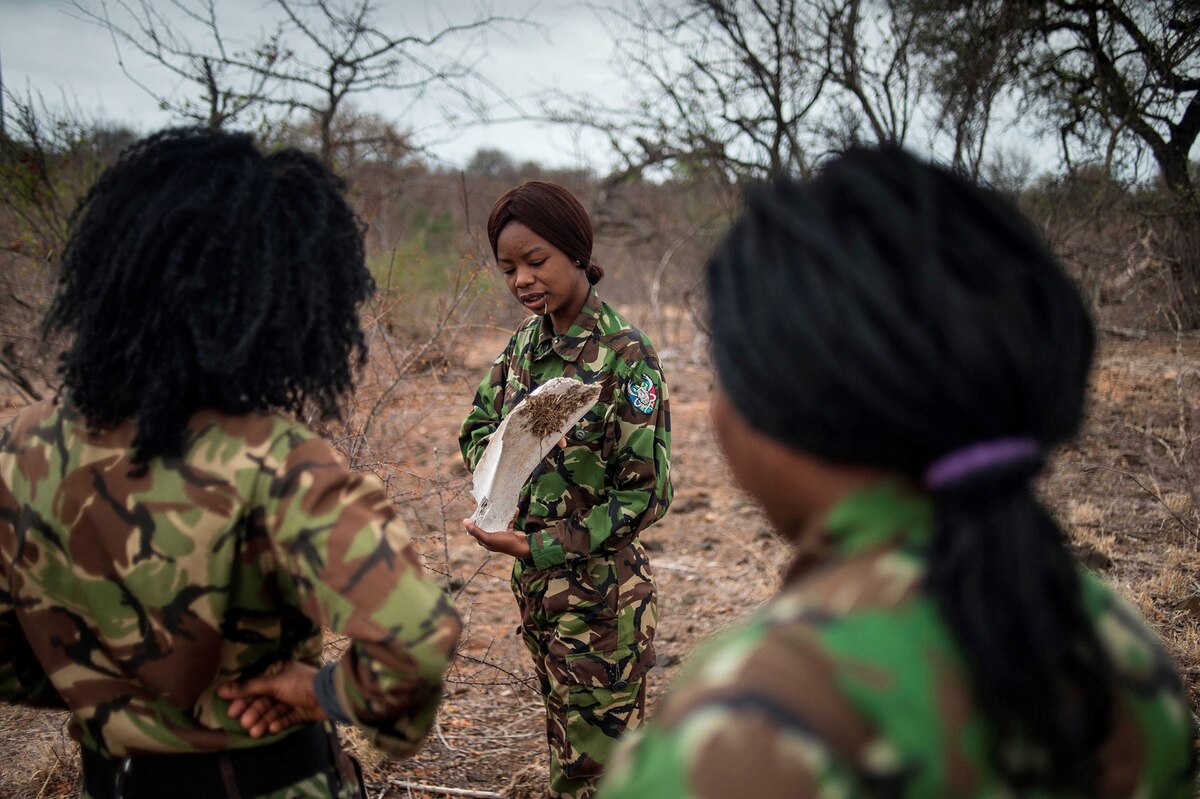 This All-Female Anti-Poaching Unit in South Africa is Saving Rhinos and ...