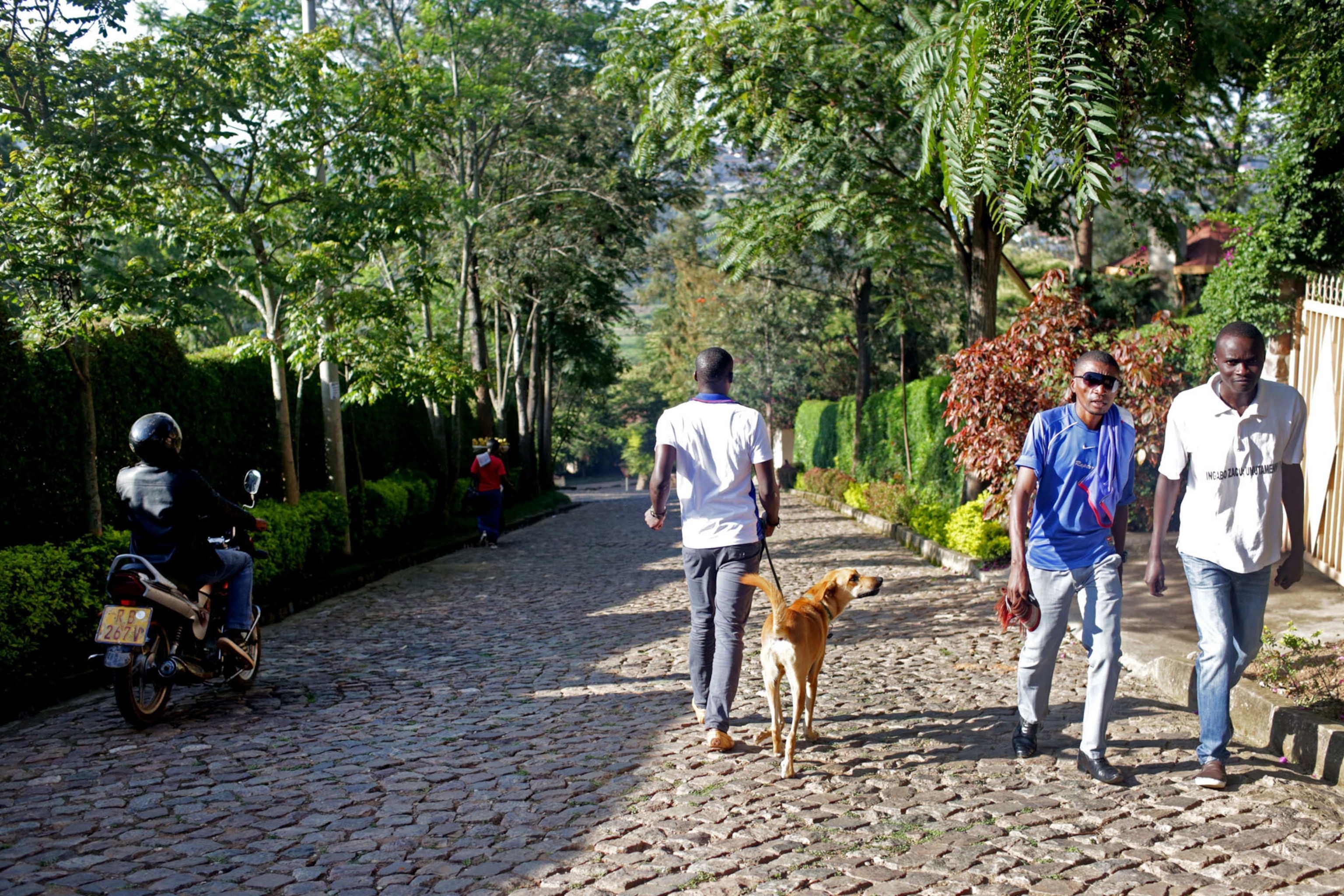 Beautiful Photos Show How Rwandans Are Embracing Dogs as Pets