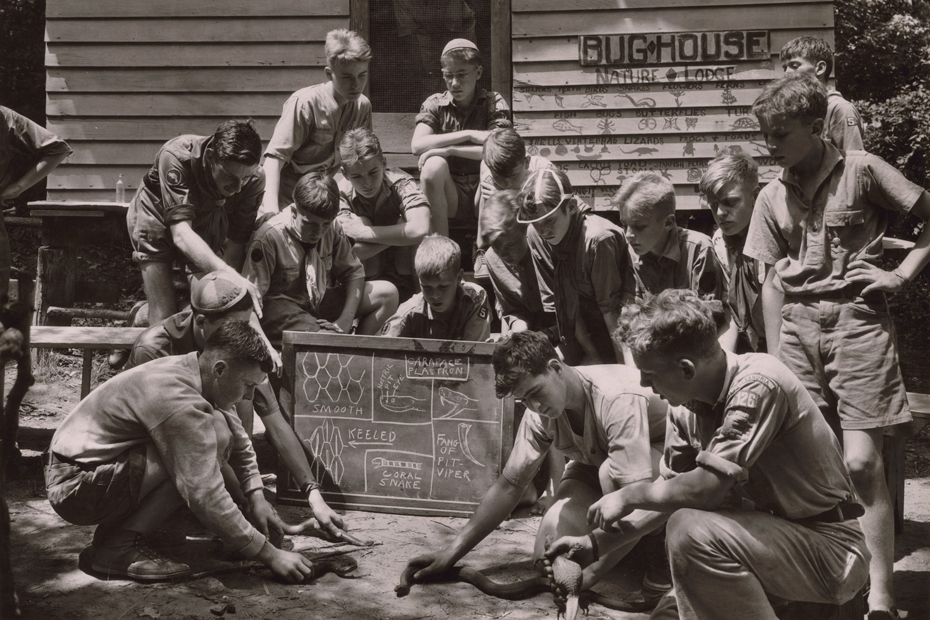 Vintage Photos Show Boy Scouts Through the Ages | National Geographic