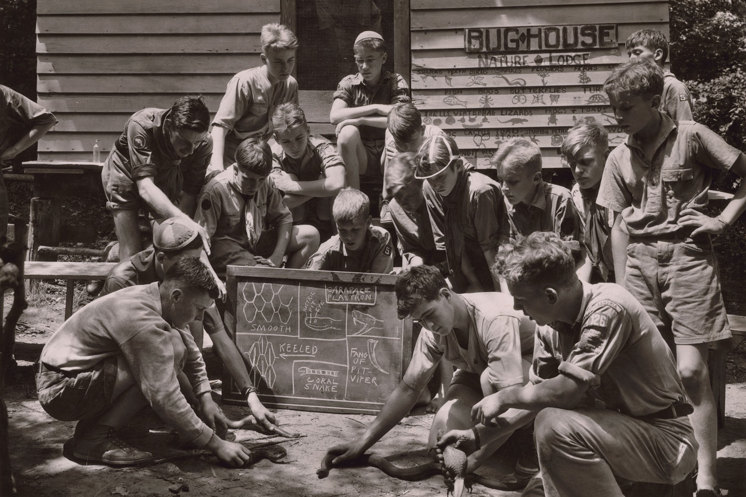 Vintage Photos Show Boy Scouts Through the Ages
