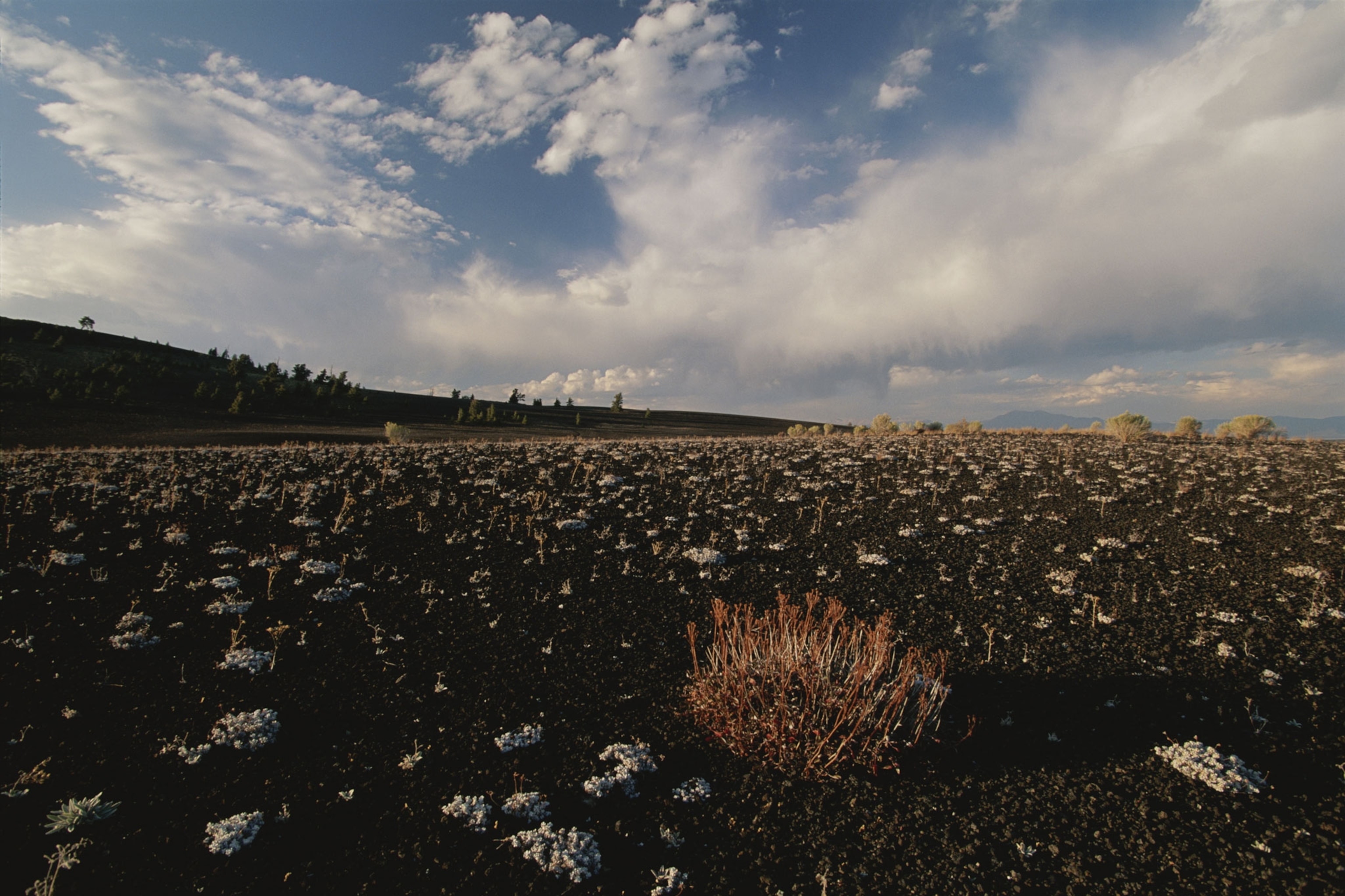 What Trump’s Shrinking of Bears Ears, Grand Staircase Escalante ...