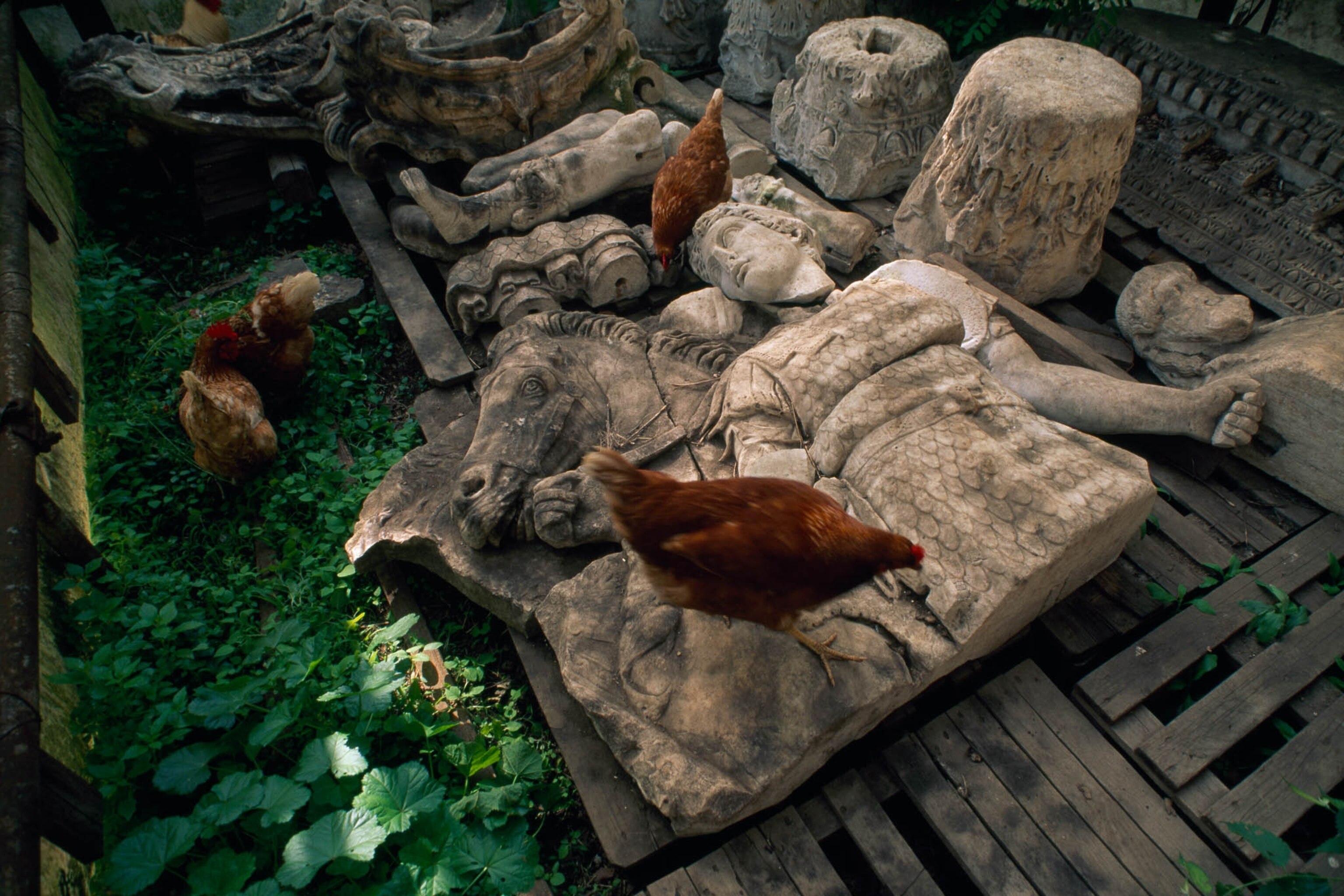 30 compelling photographs discovered in the Nat Geo archives