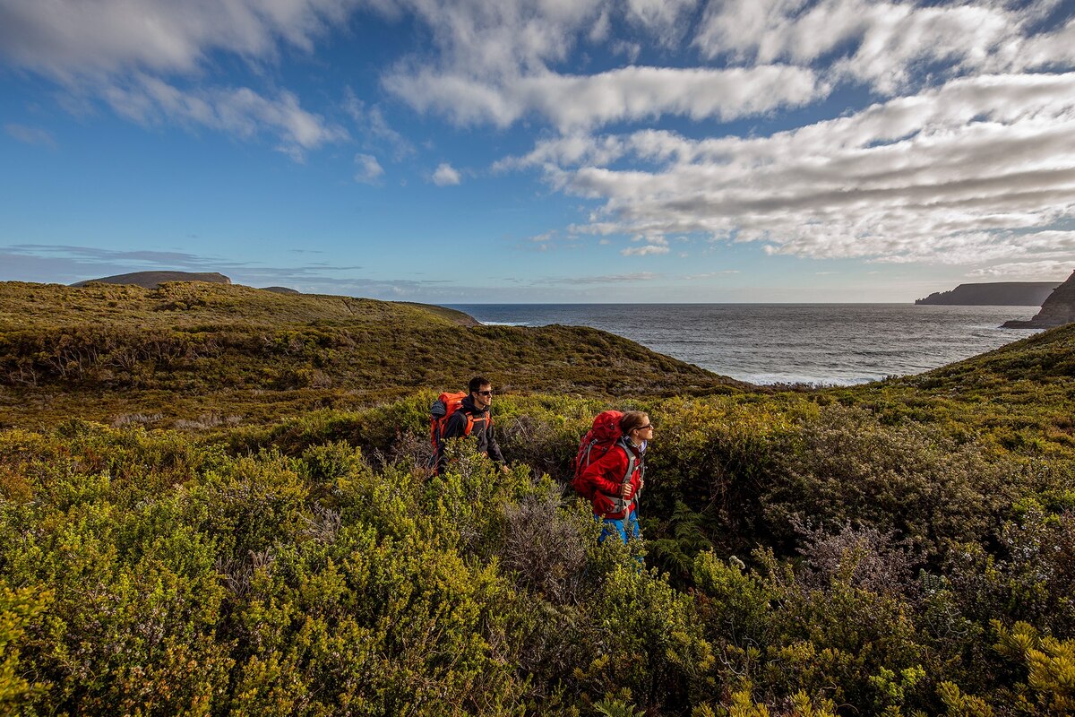 Hike in the epic wilderness of Tasmania, Australia