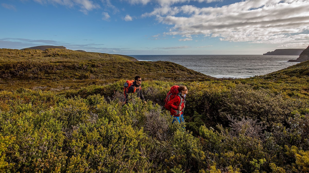 Hike in the epic wilderness of Tasmania, Australia | National Geographic