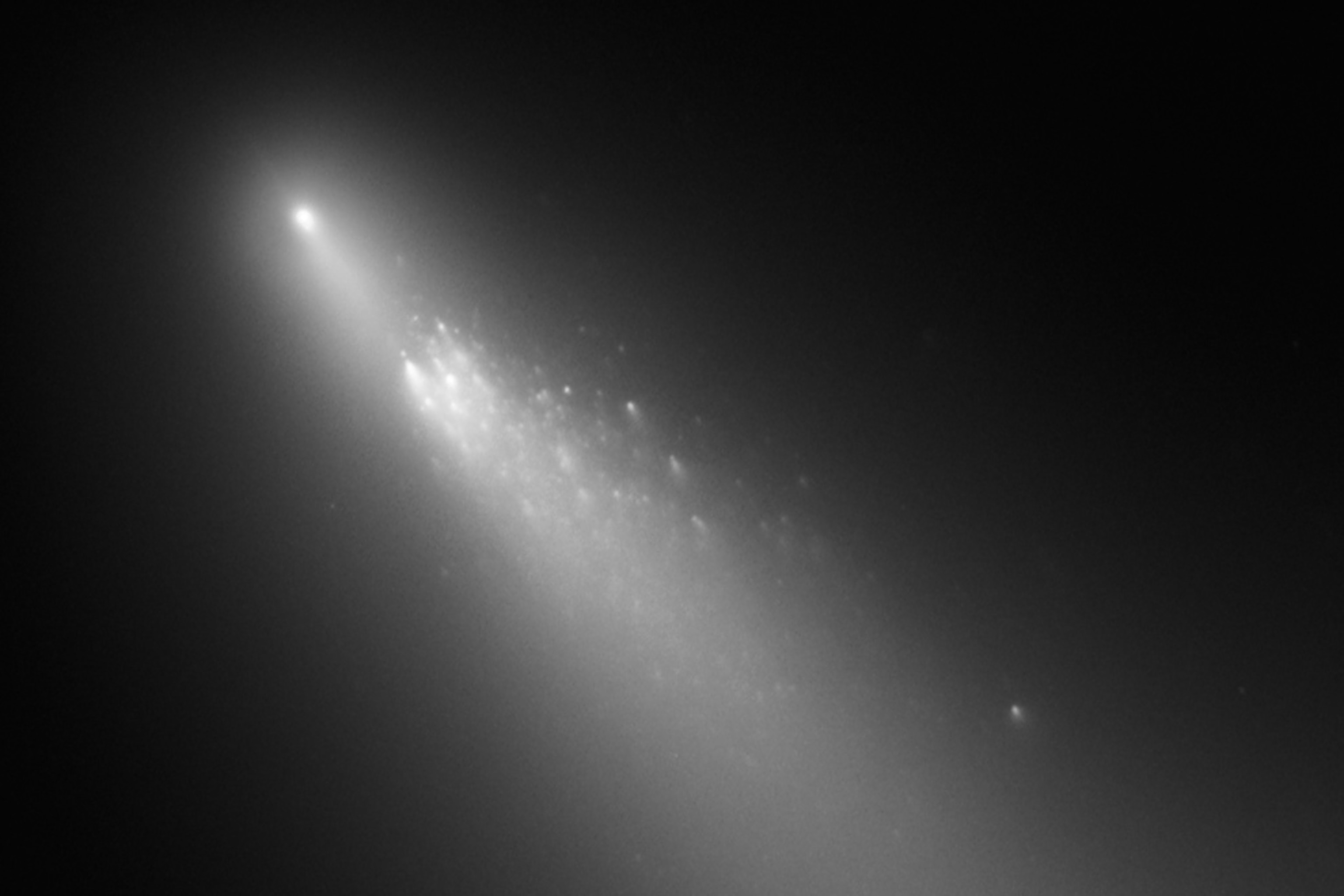 Comet "Shower" Killed Ice Age Mammals?