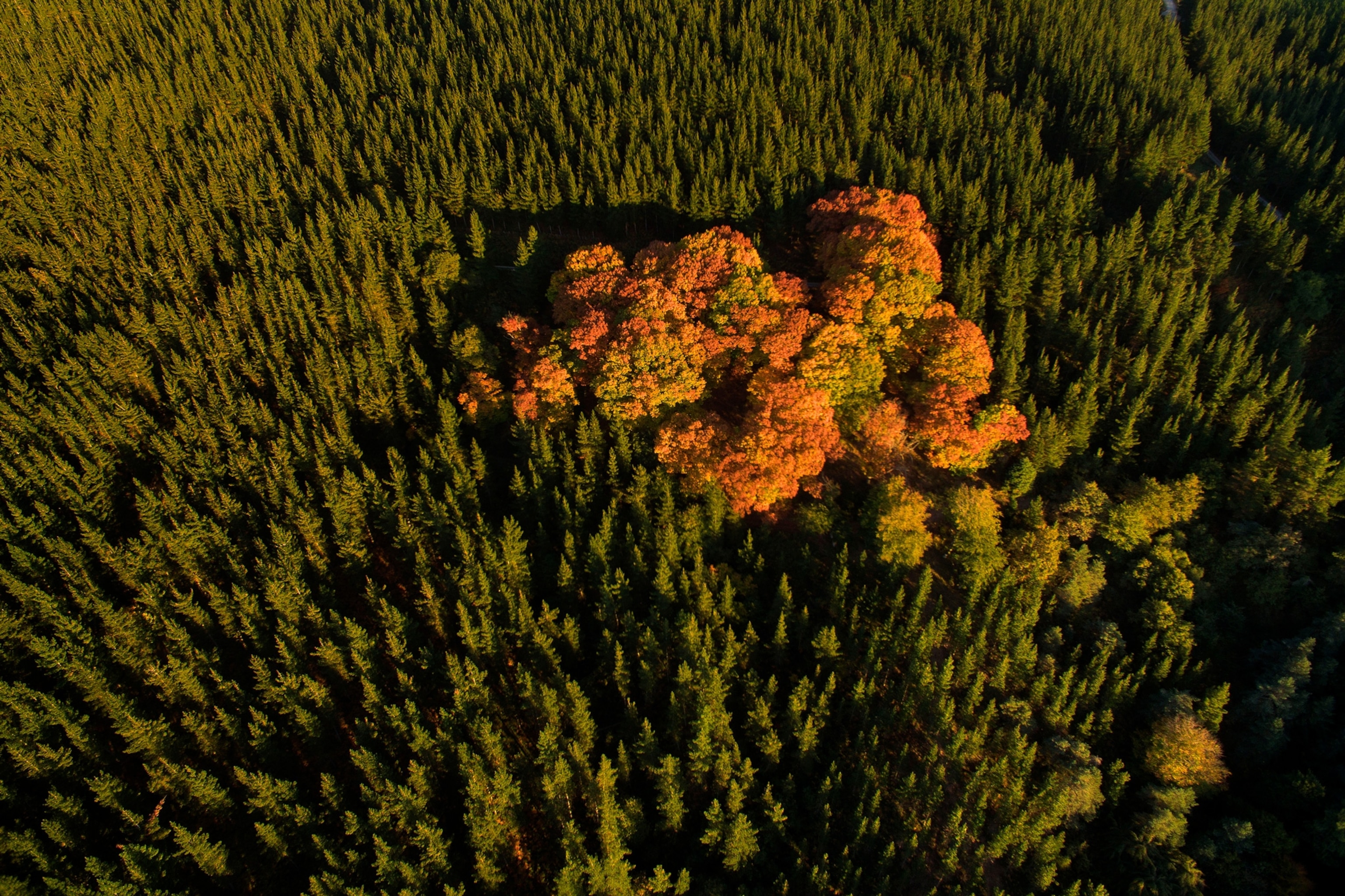 Stunning Fall Pictures Taken by Drones | National Geographic