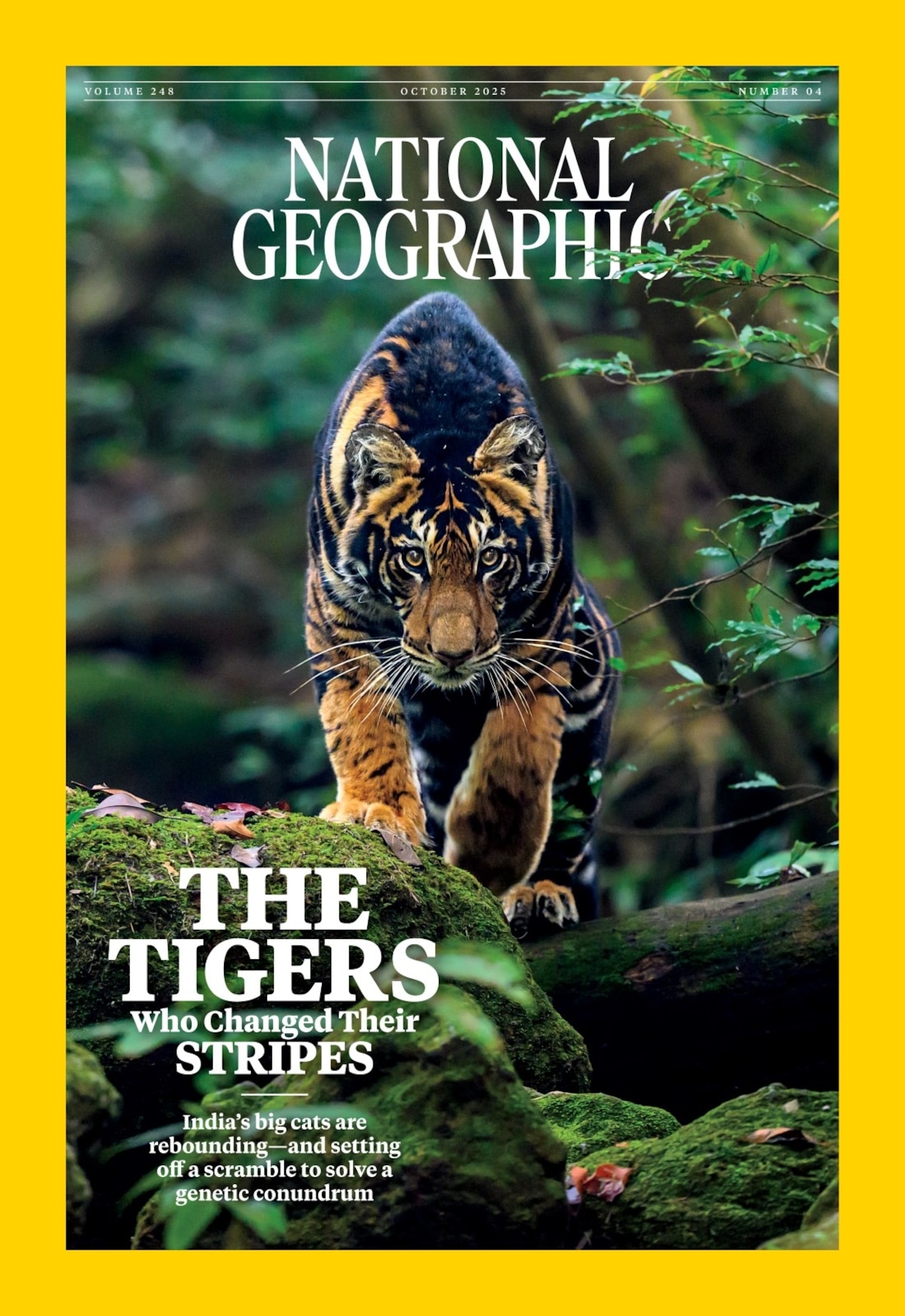 October 2025 Issue | National Geographic