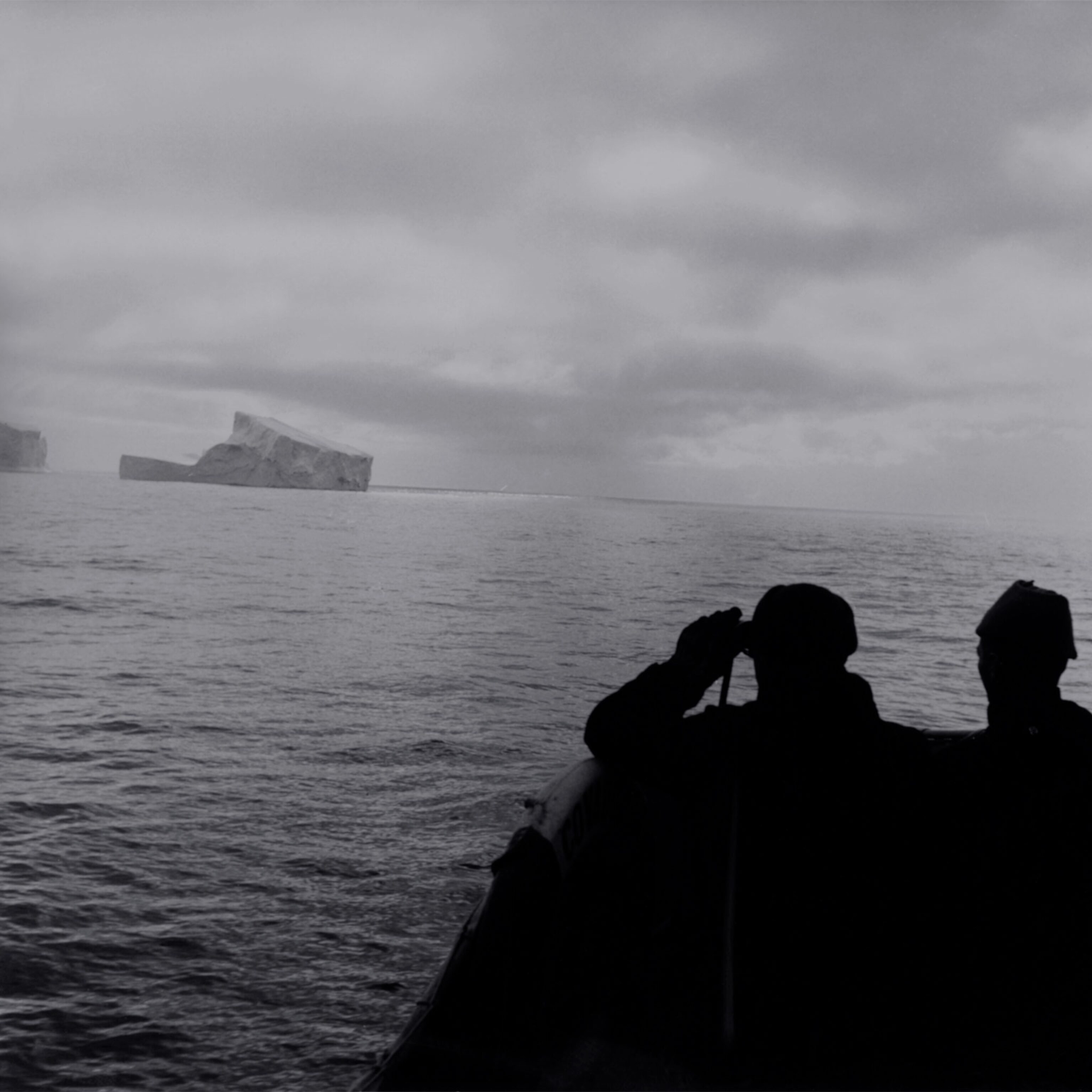 Deception Island Volcano in Antarctica Is Full of Wildlife