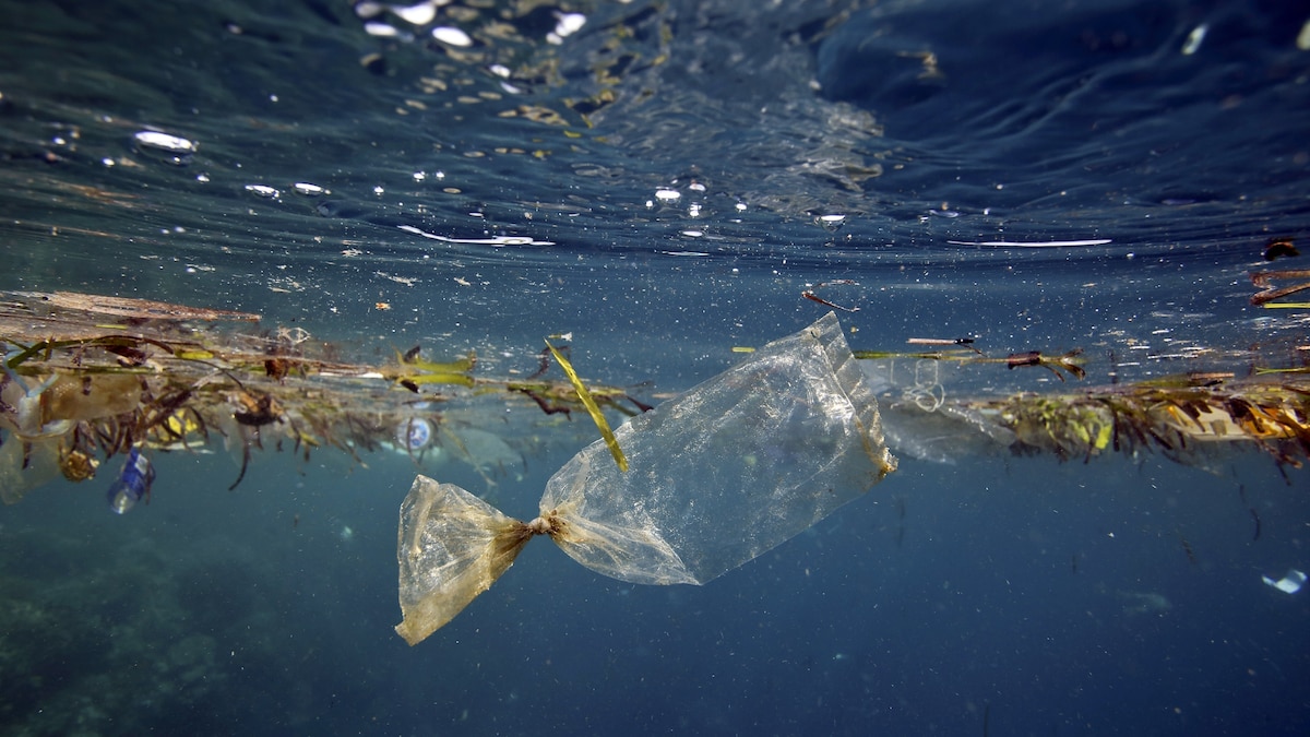 First of Its Kind Map Reveals Extent of Ocean Plastic | National Geographic