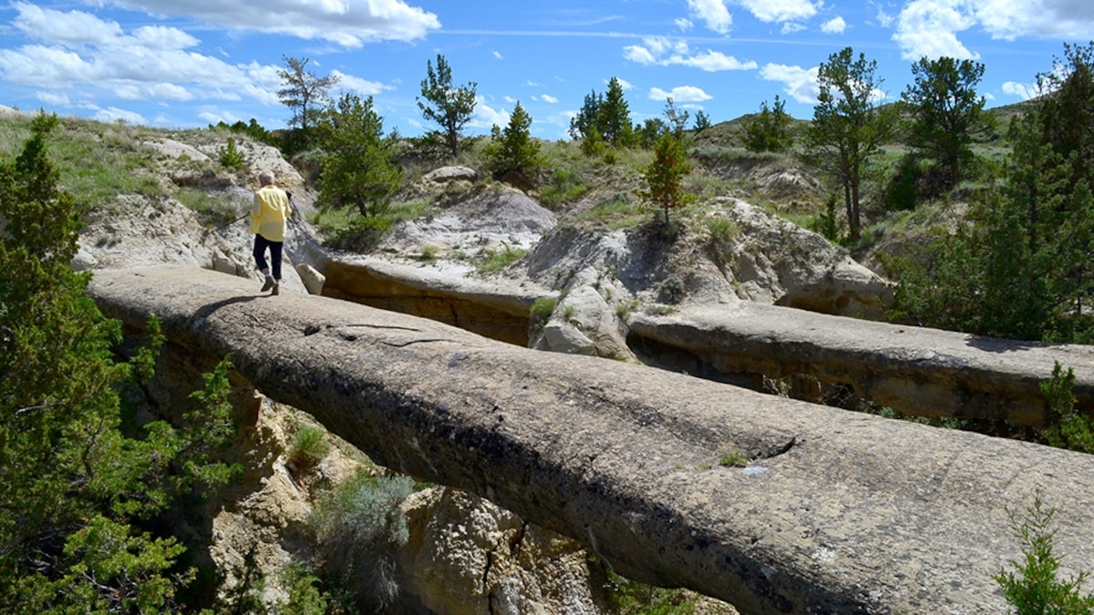 Best of Montana in Spring: Scenic Drives and Trails -- National ...
