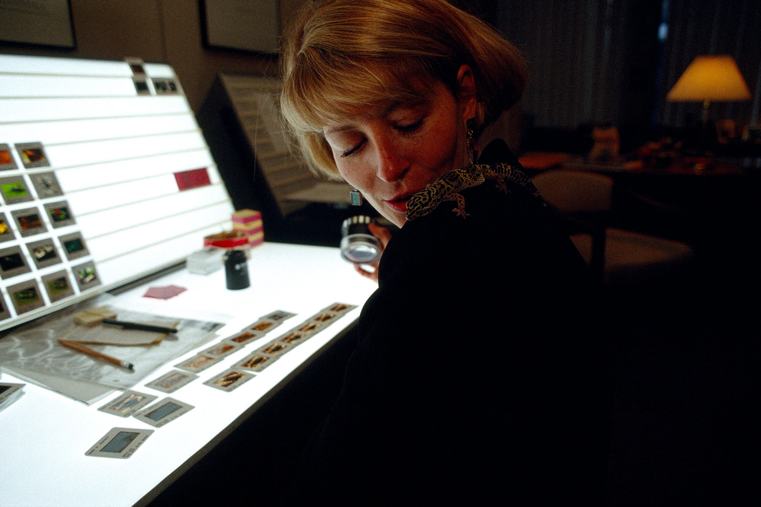 A Wall of Frames in National Geographic's office
