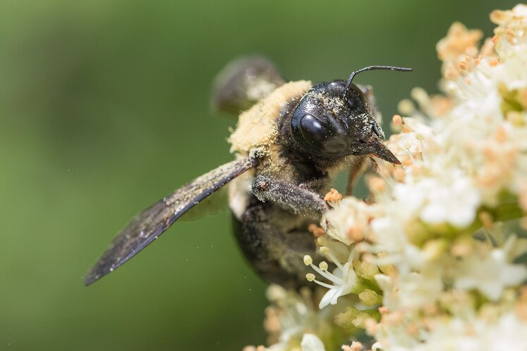 Poopy Time Fun Shapes Real