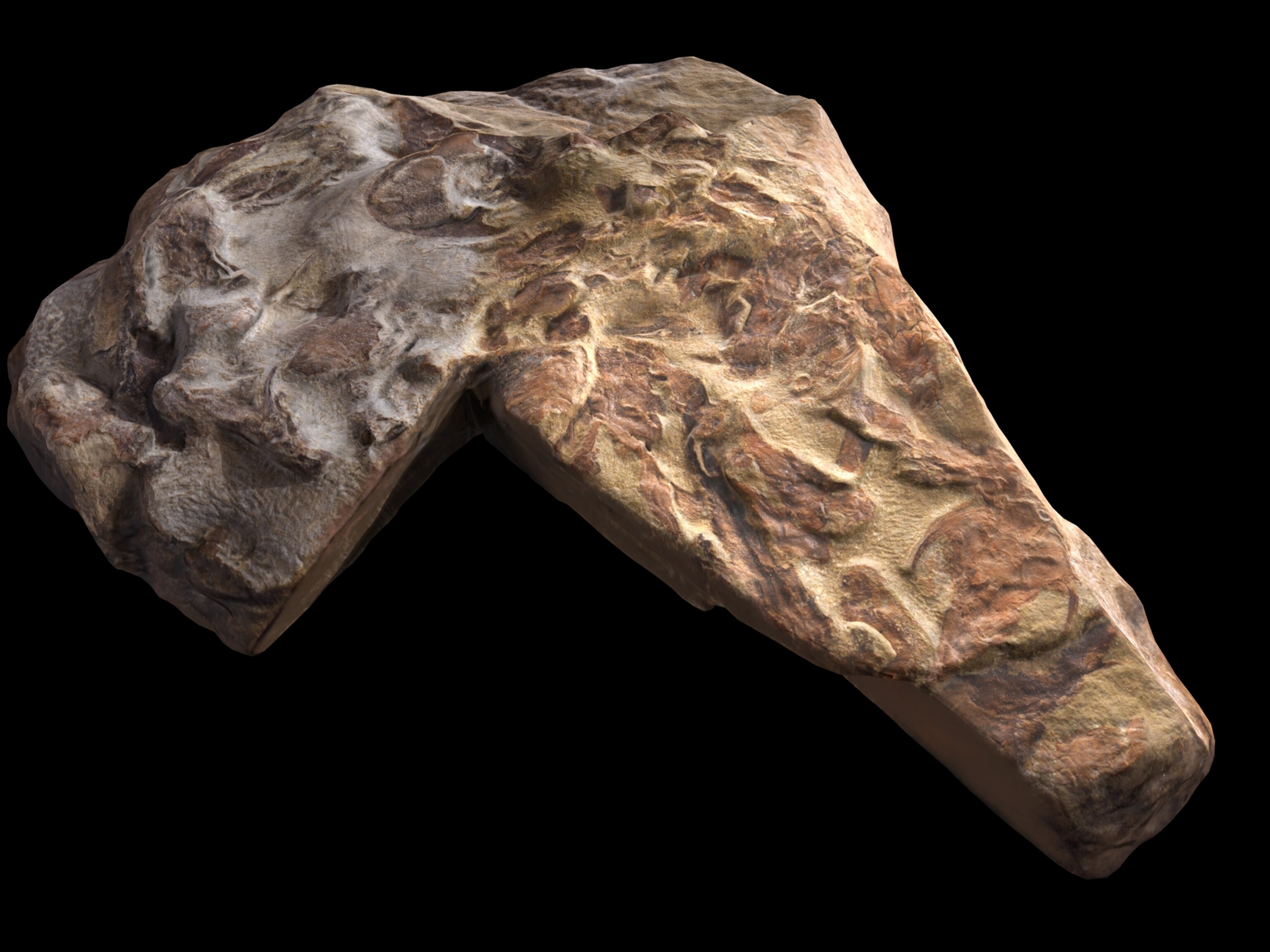 Spectacular fossil fish reveal a critical period of evolution